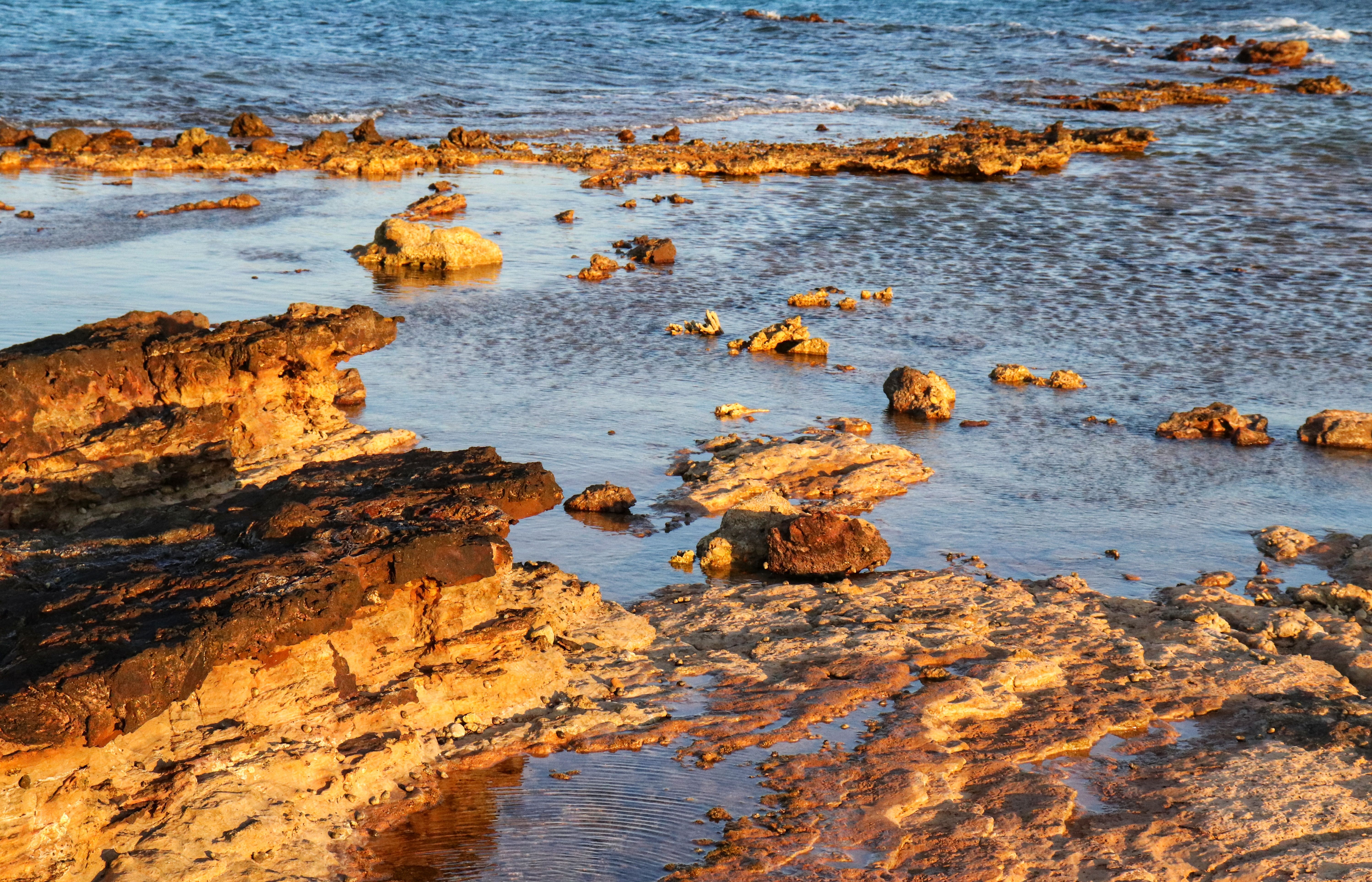 Sunlit Rocks on Sea Shore · Free Stock Photo