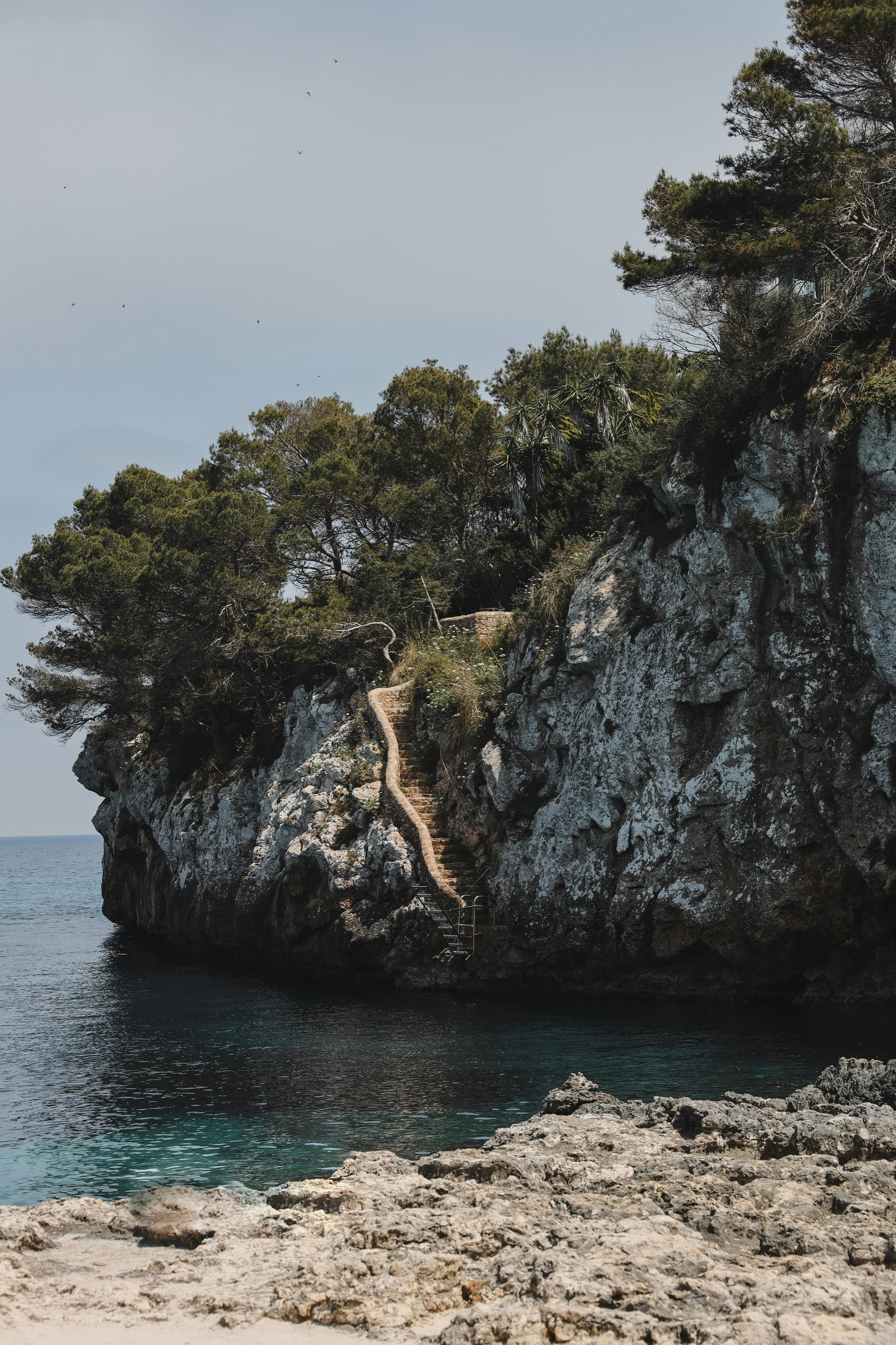 A Cliff Beside the Sea · Free Stock Photo