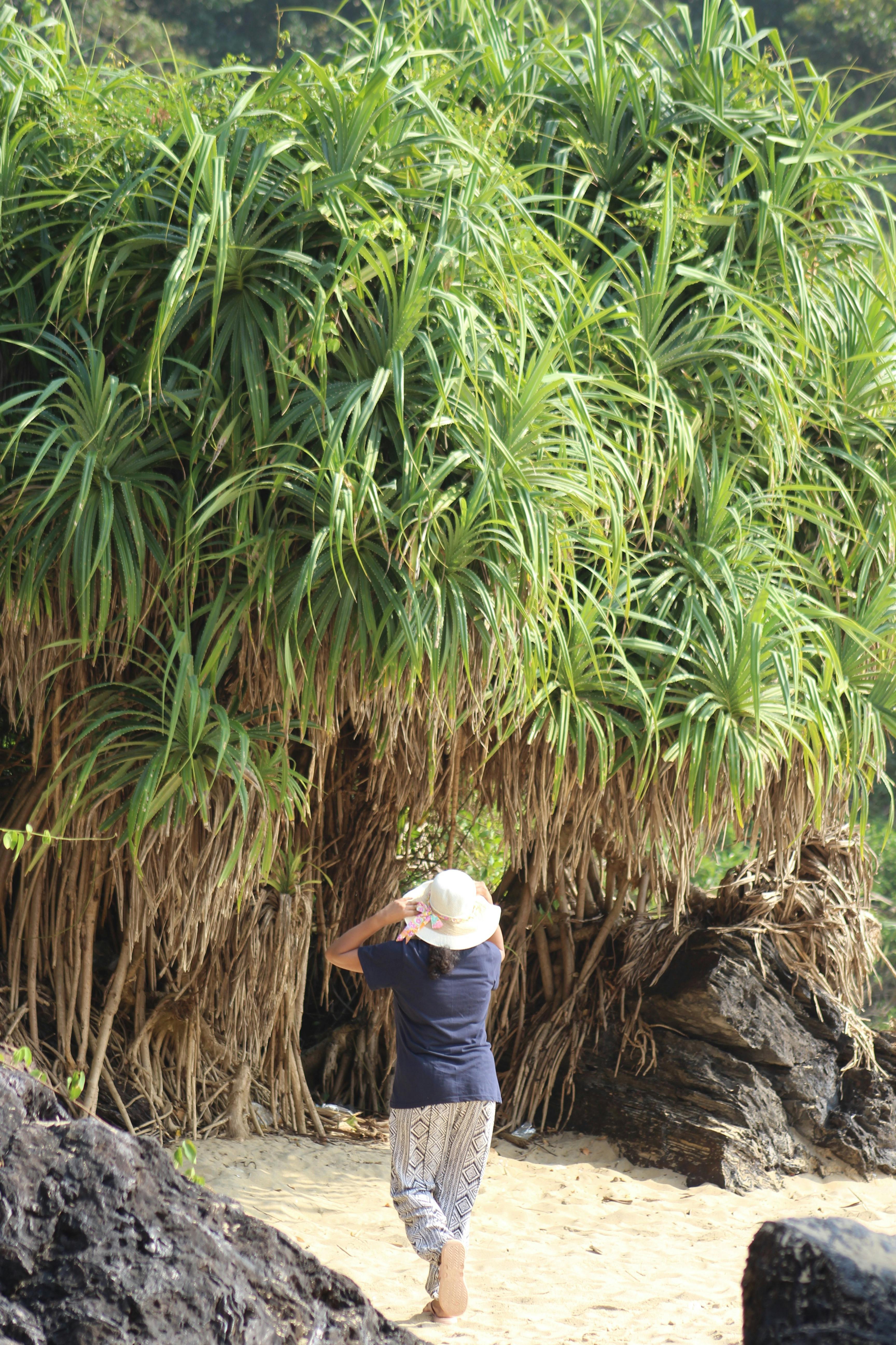 Sai Cheruku - Photographie