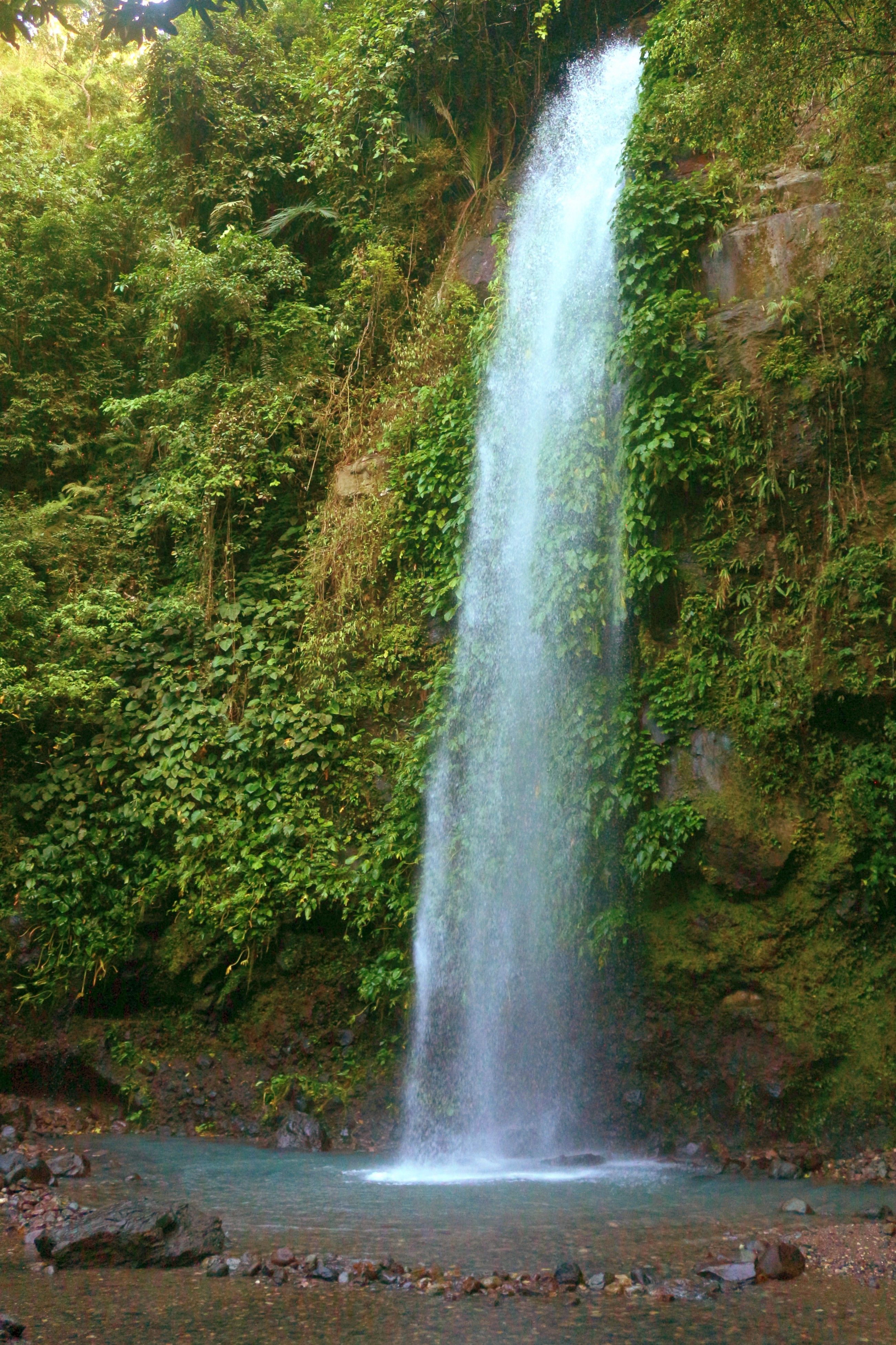 View of a Waterfall · Free Stock Photo
