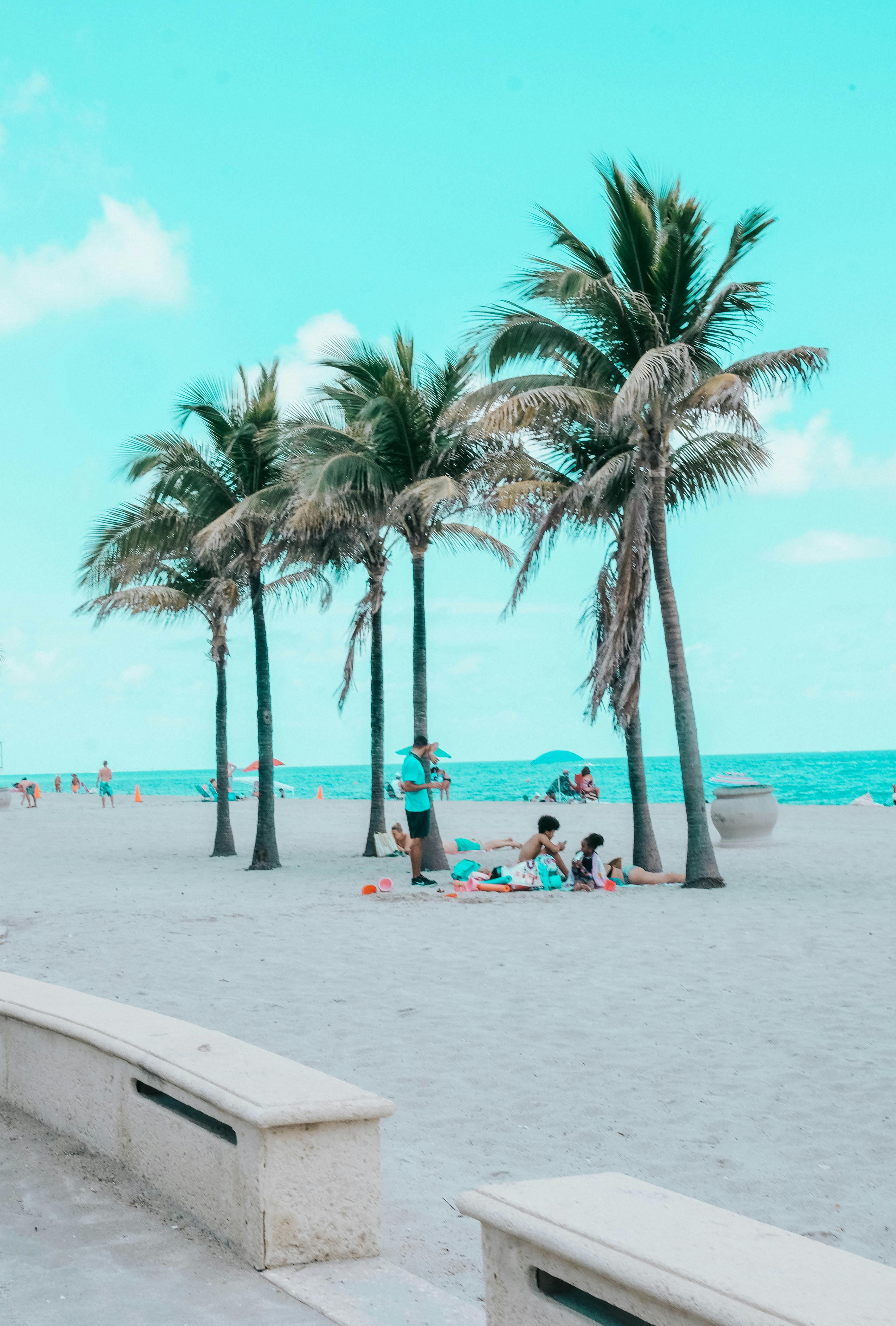 Jorge Rangel - 摄影