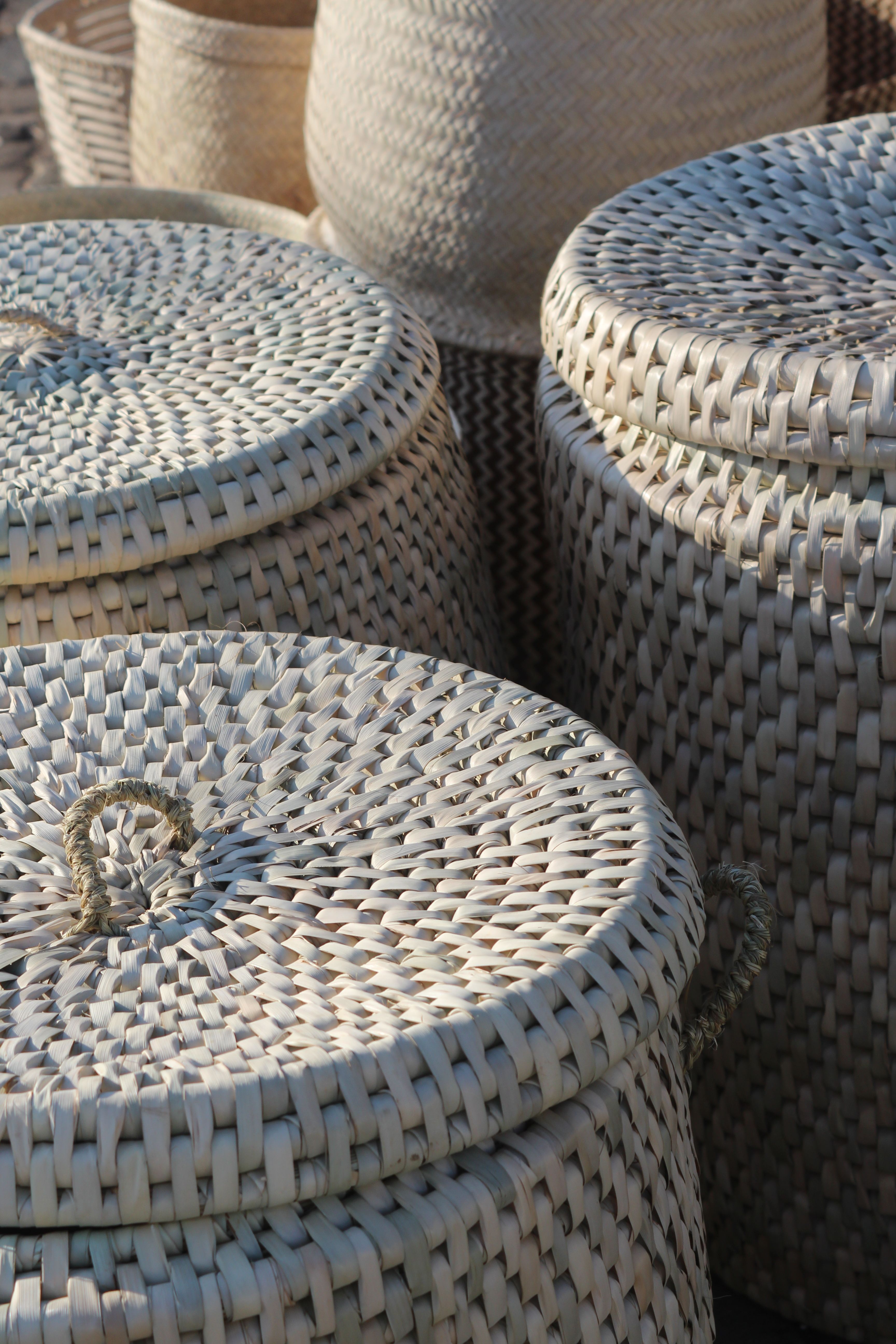 Photo of a Person's Hands Holding a Basket · Free Stock Photo