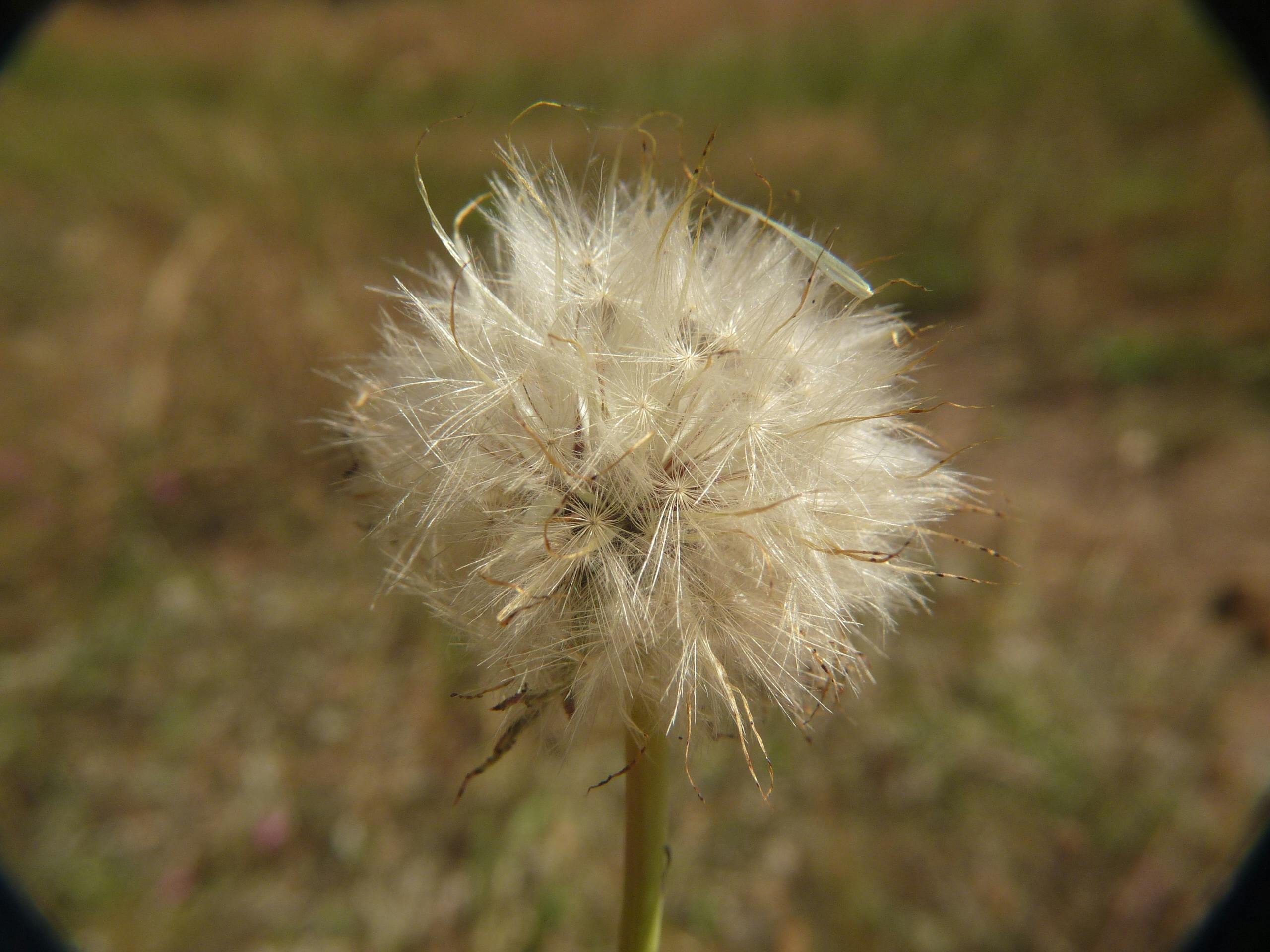 Alexandra Gehrke - Photographie