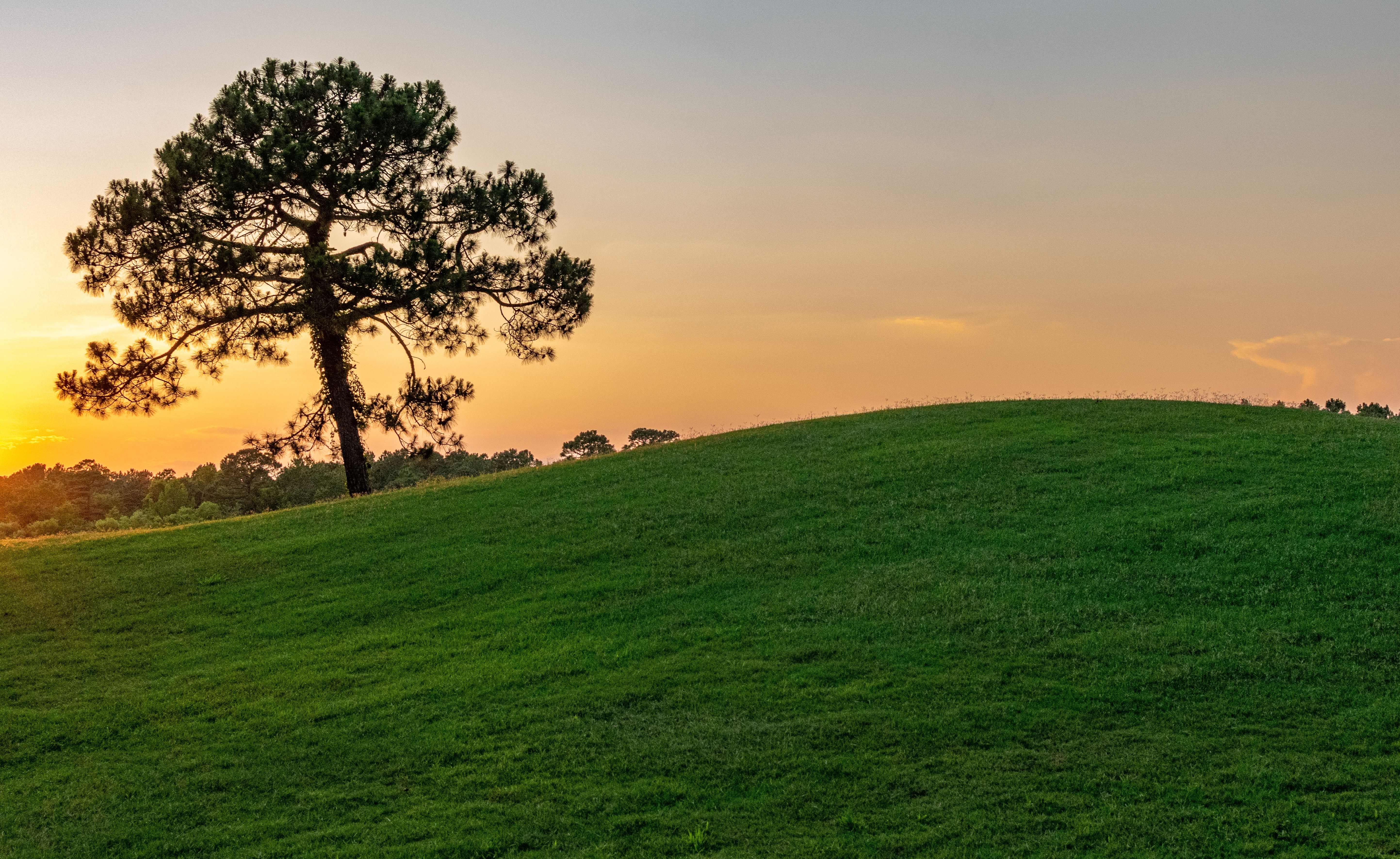 Grass Hill Sunset
