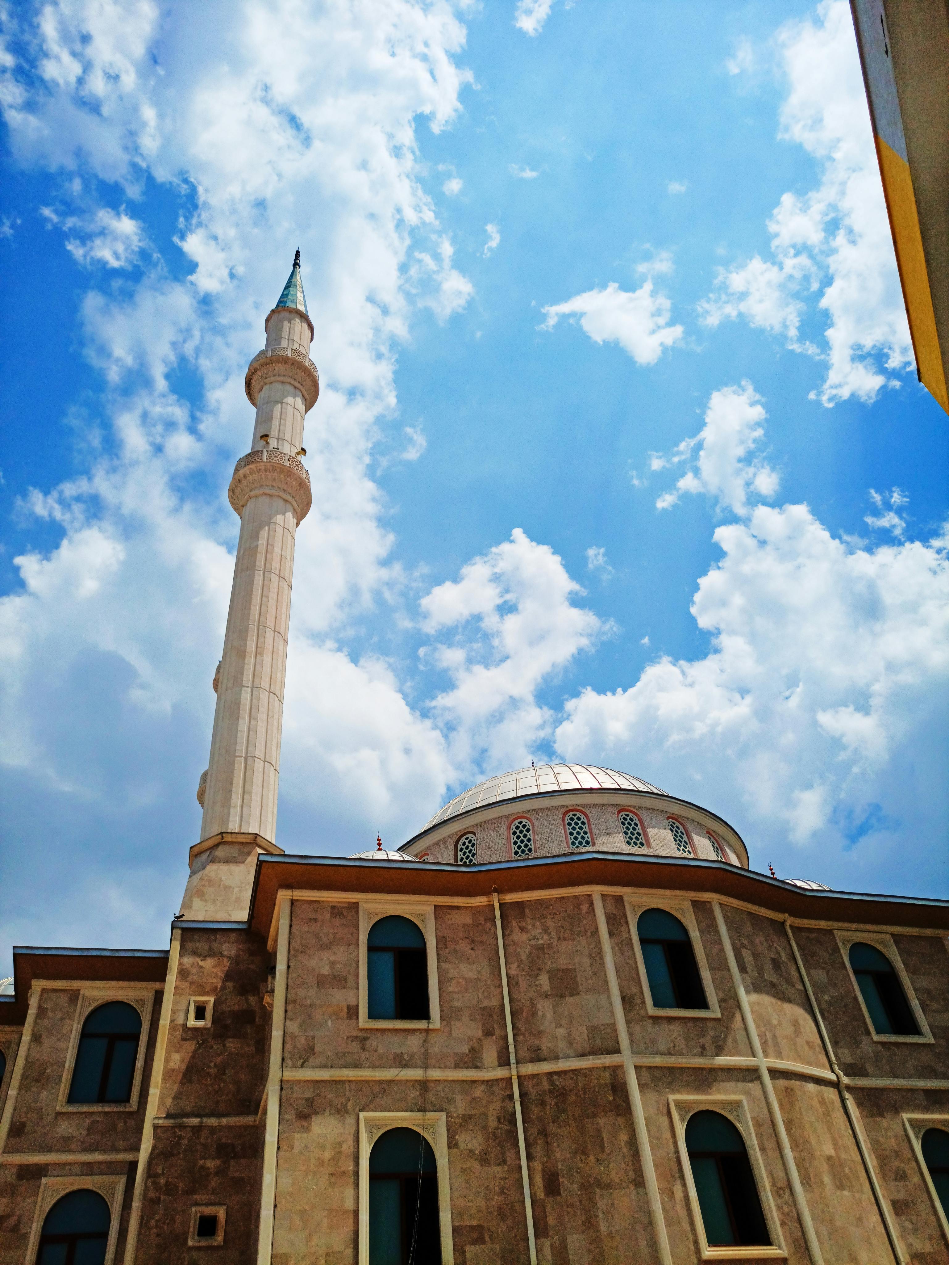 Aligar Müslüman üniversitesi Photos, Download The BEST Free Aligar ...