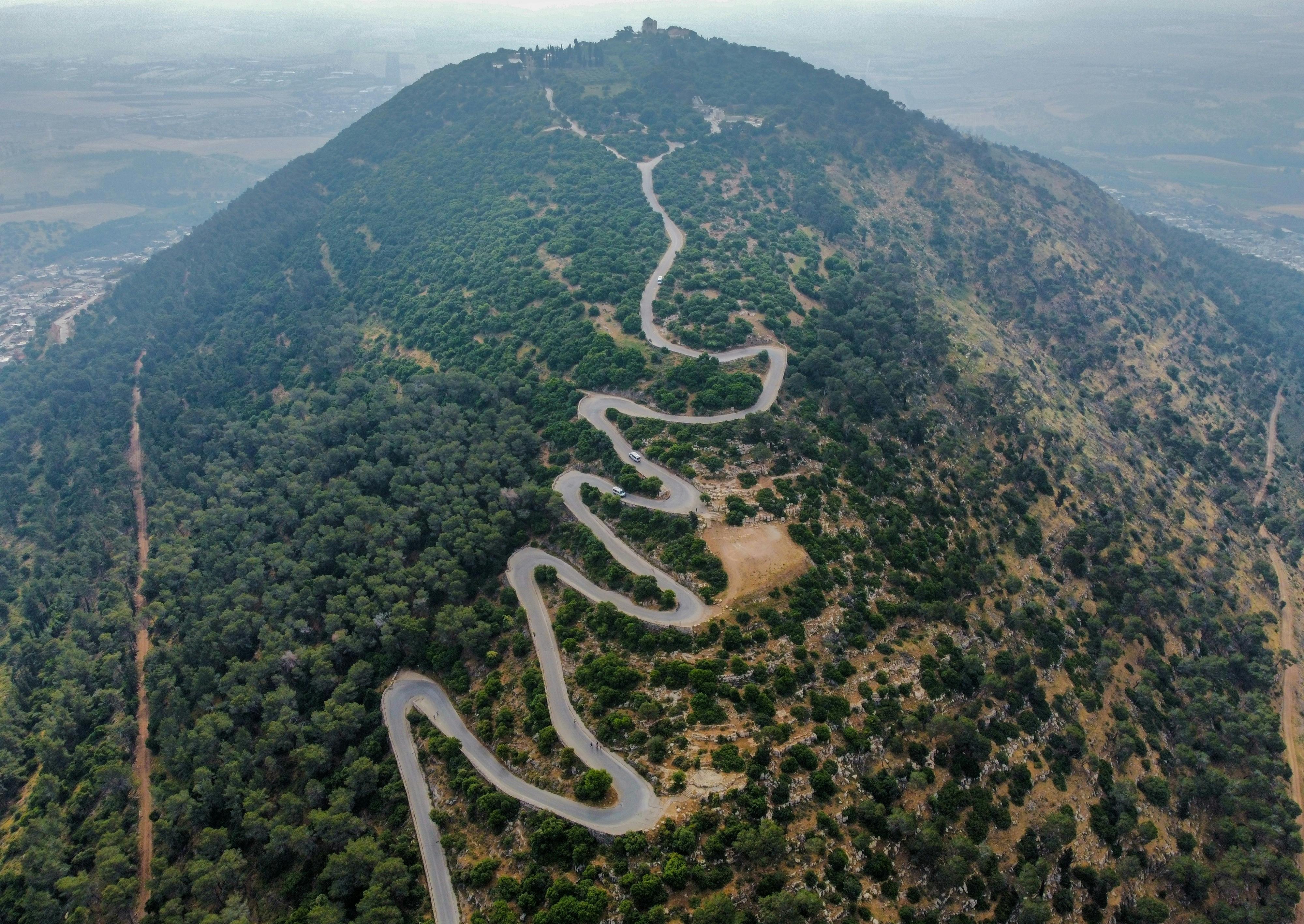 Aerial View of Green Trees on the Mountain · Free Stock Photo