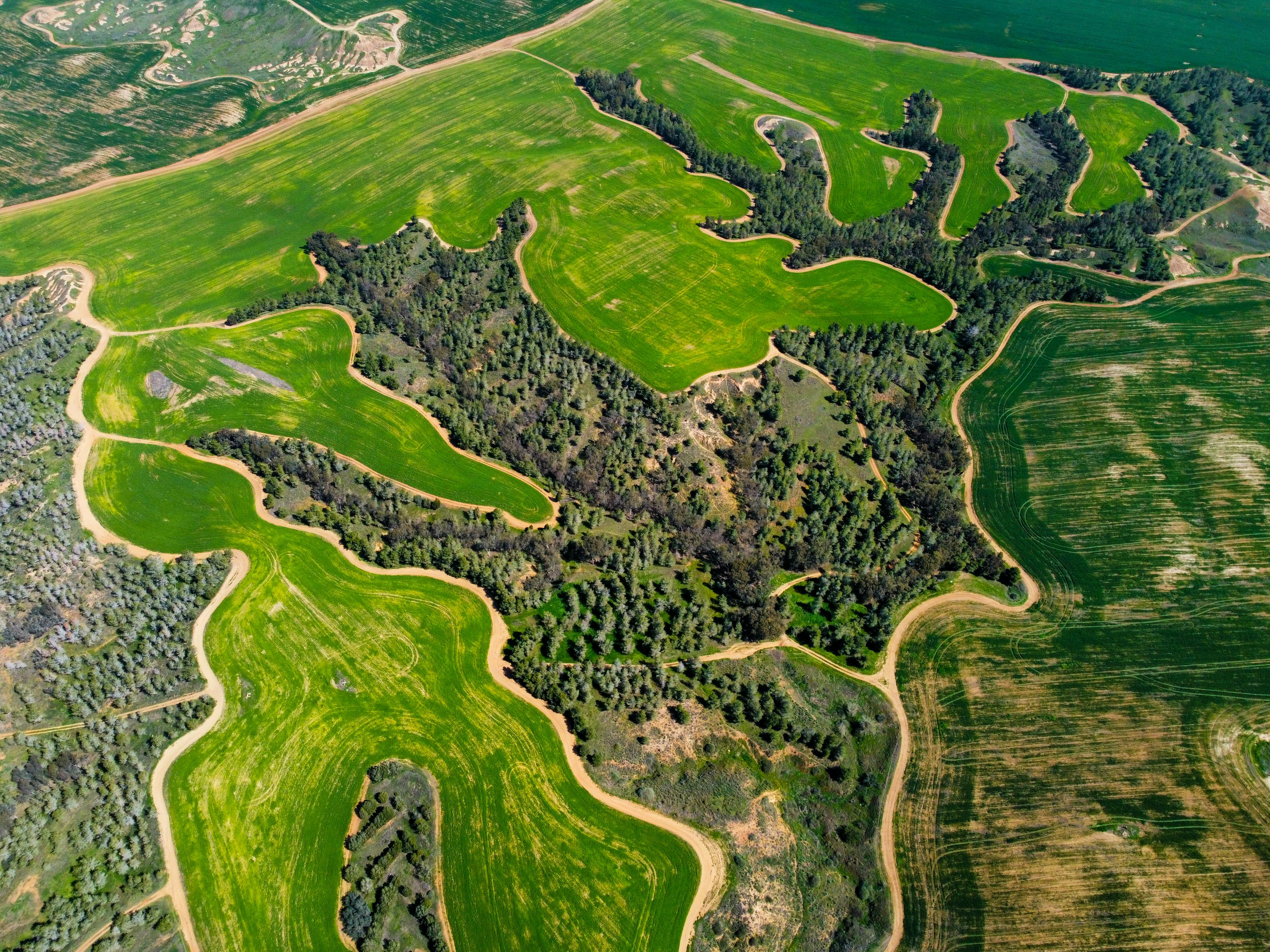 Birds Eye View of a Verdant Landscape · Free Stock Photo