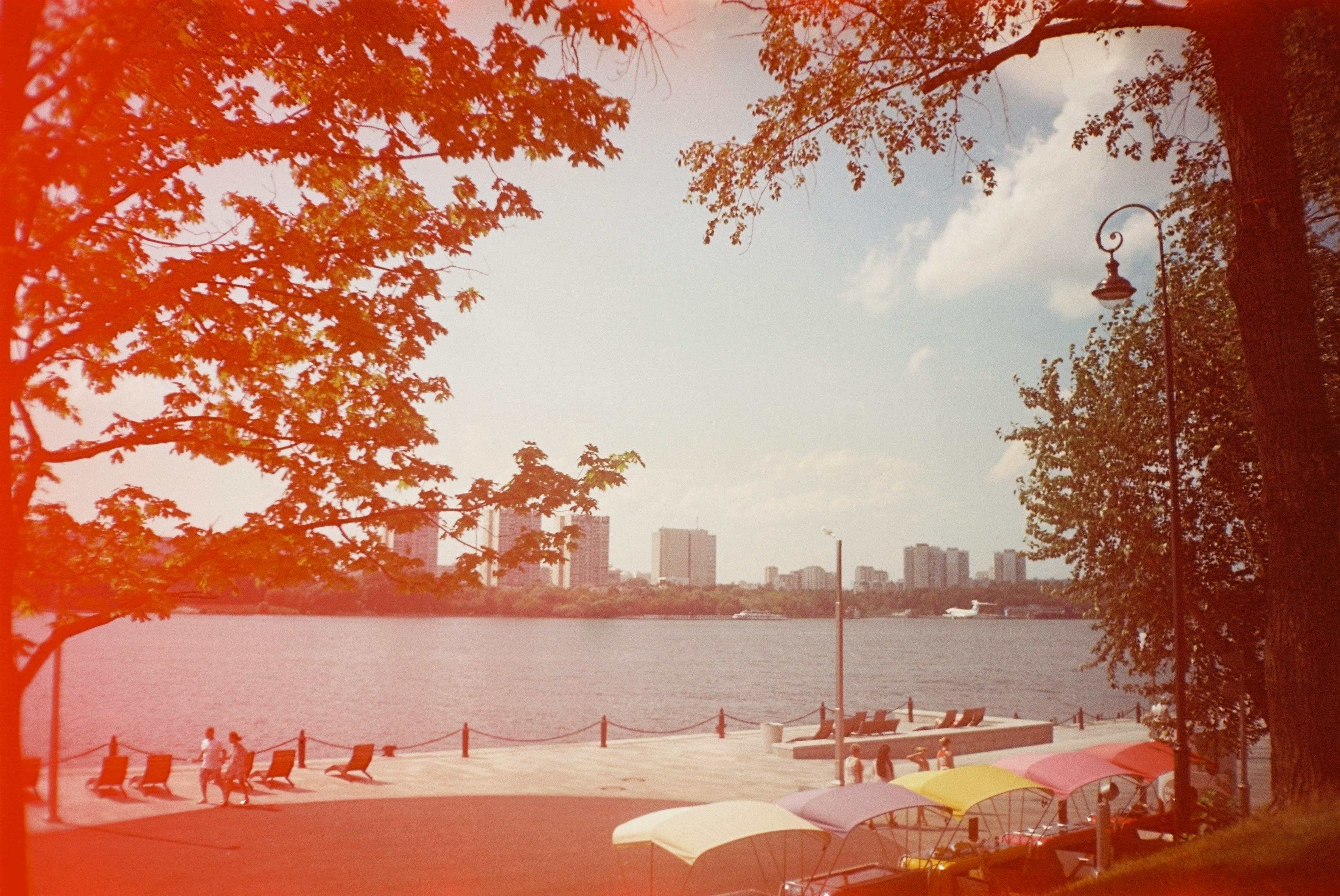 Promenade along River in City Park · Free Stock Photo