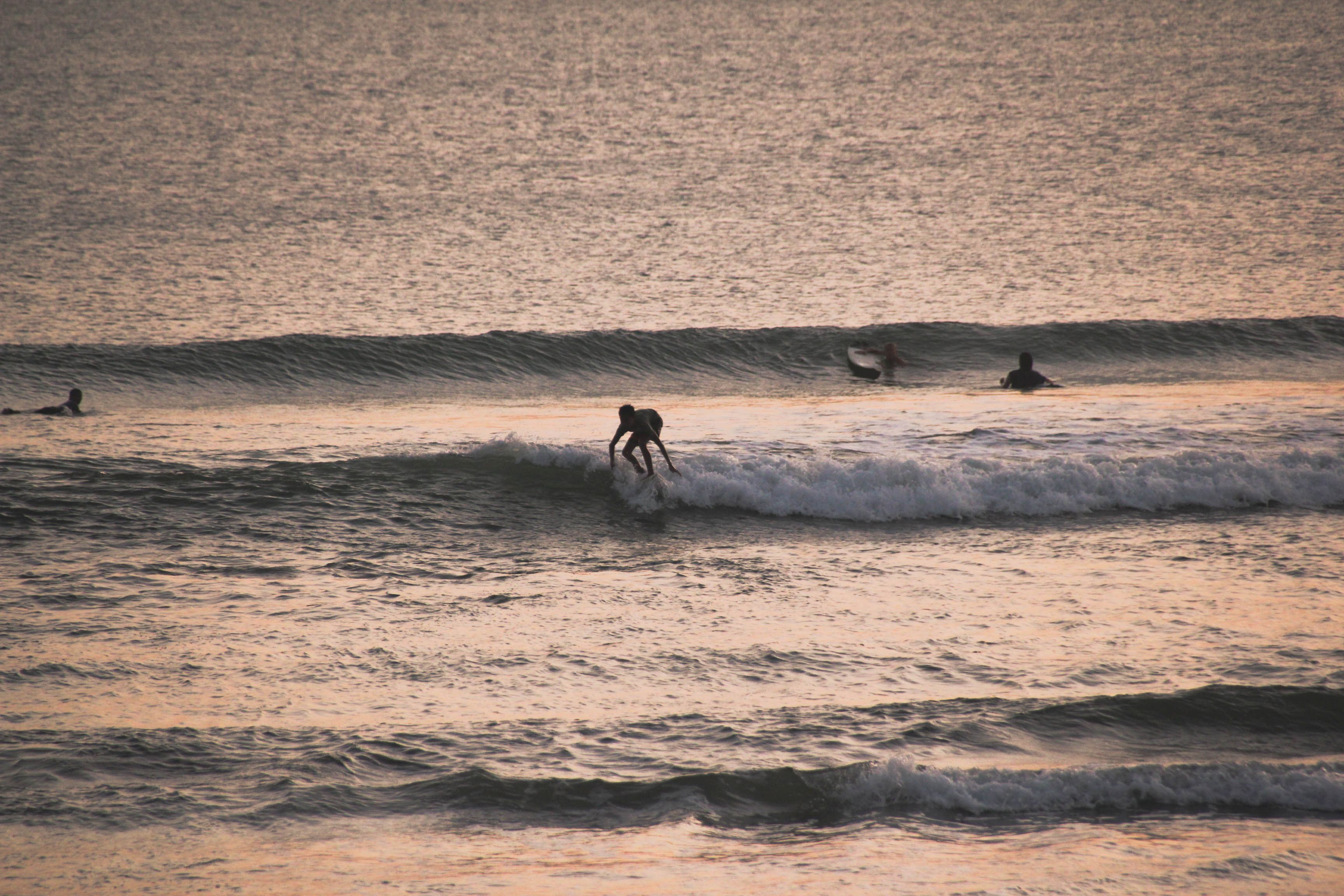 Person Surfing on the Sea Waves · Free Stock Photo