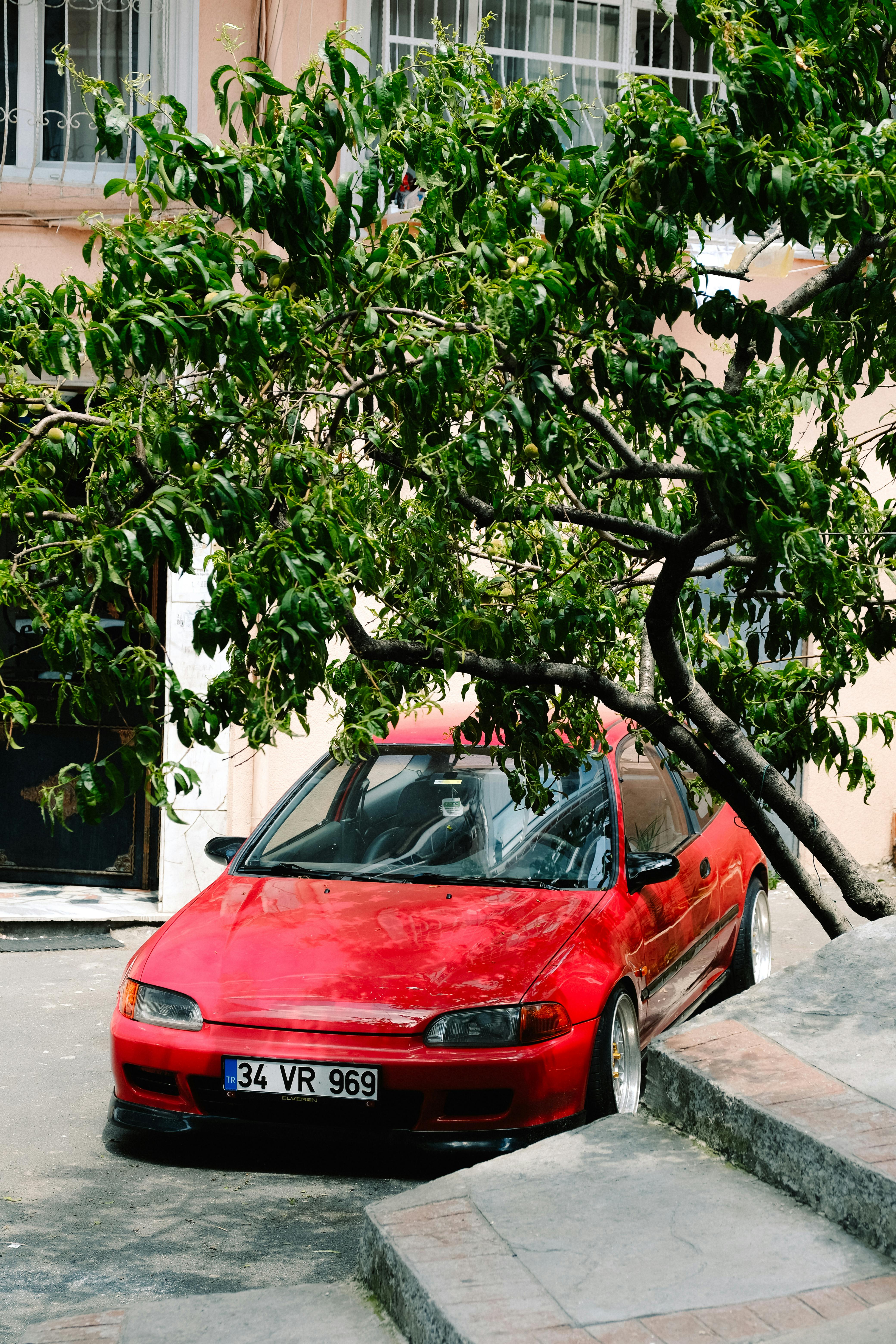 Parking Car Under Tree Photos, Download The BEST Free Parking Car Under ...