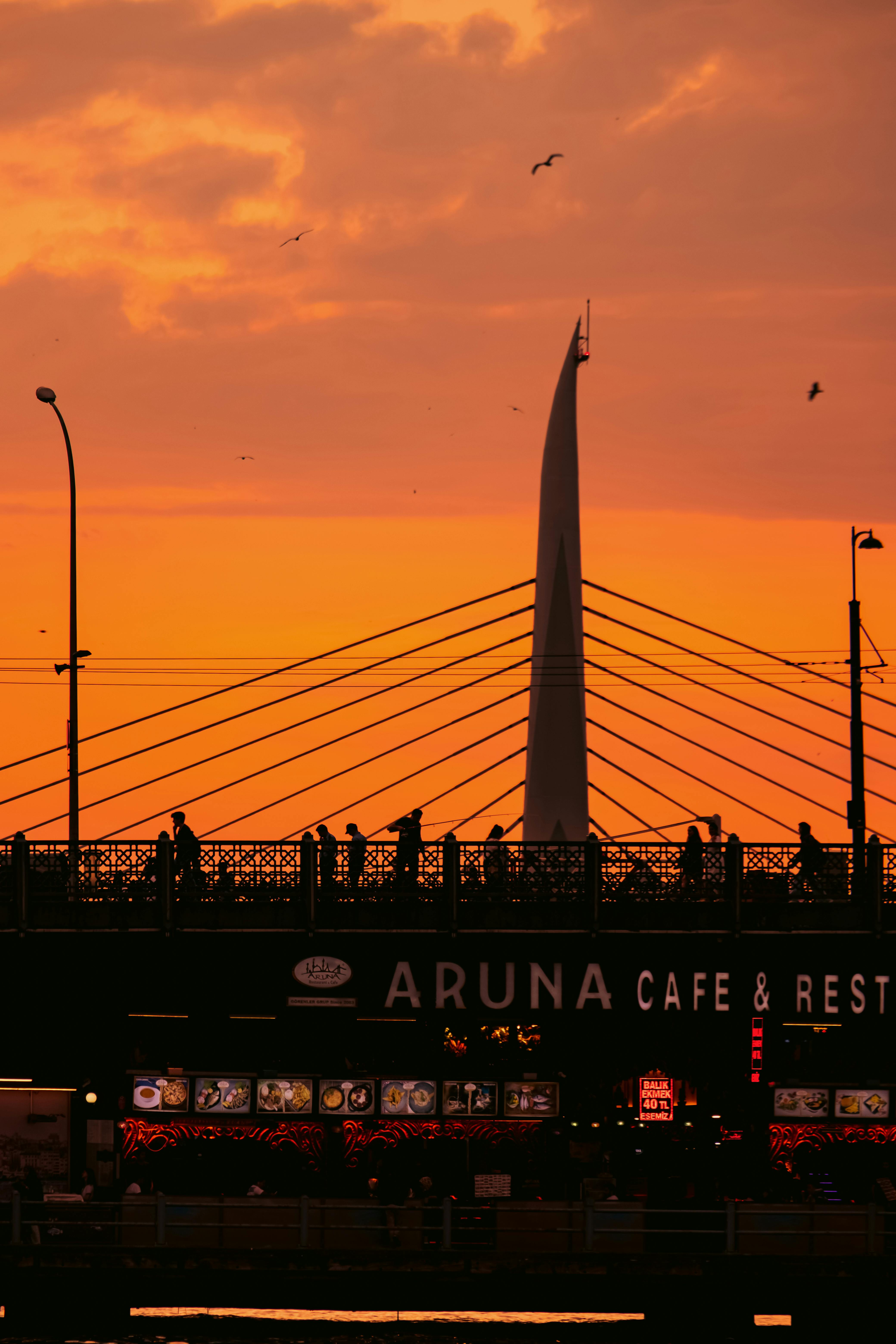 Cafe and Restaurant Under the Bridge · Free Stock Photo