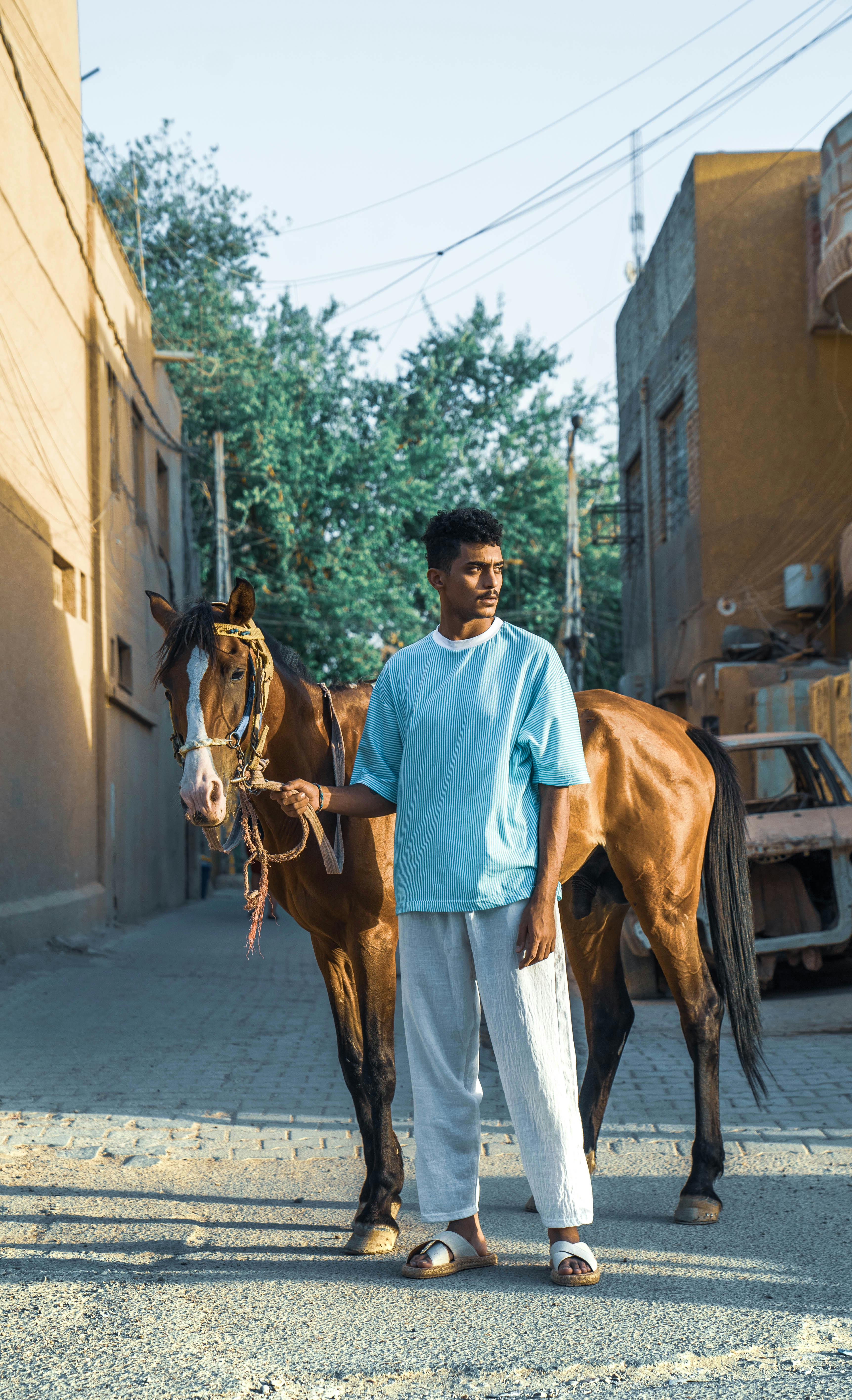 Young Man Holding a Horse by a Harness · Free Stock Photo