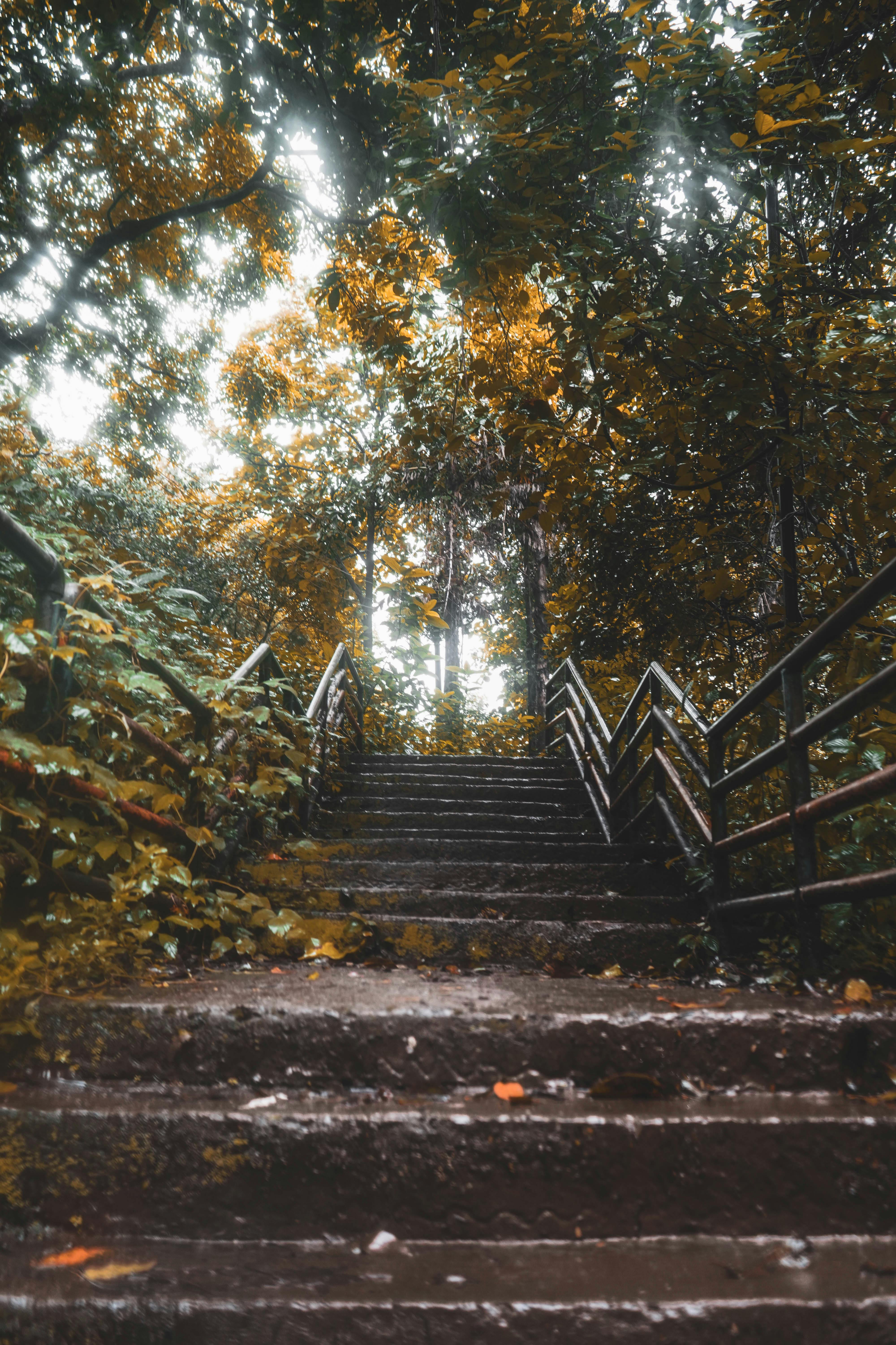 Manideep Karne - 사진