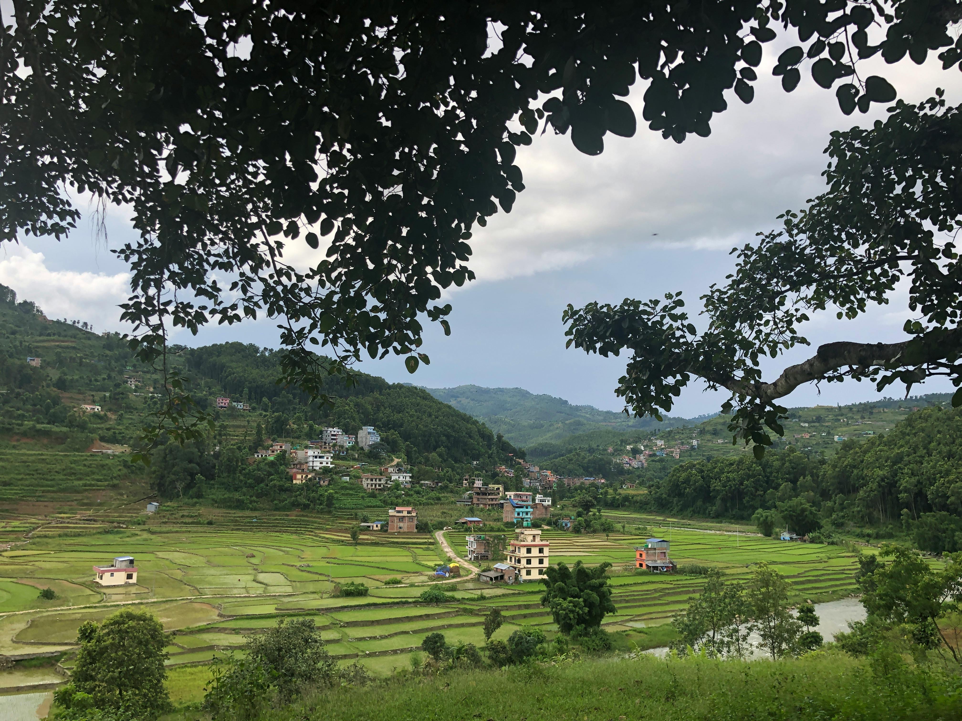Pathway between Fields · Free Stock Photo