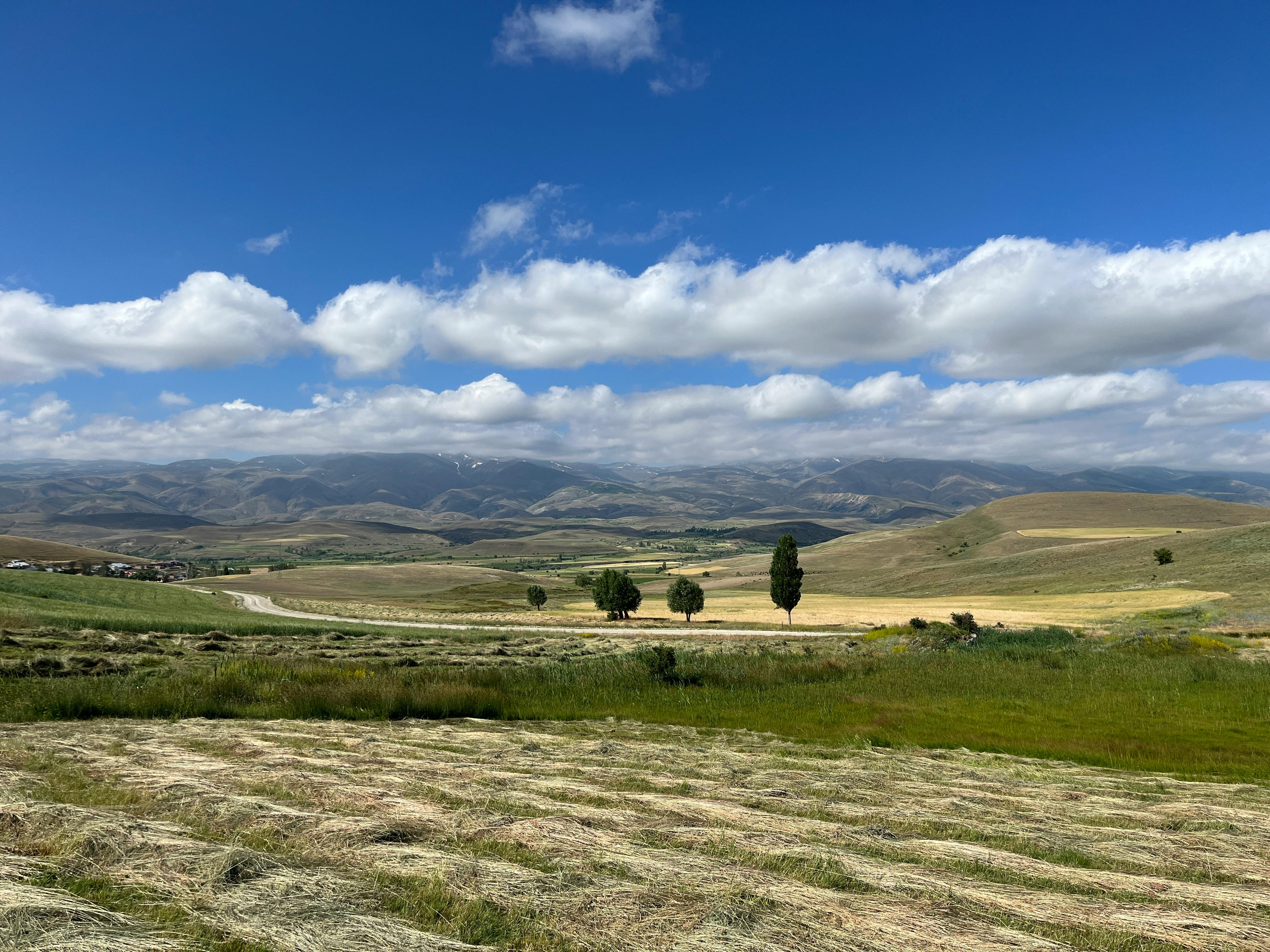 Cropland and Hills Landscape in Summer · Free Stock Photo