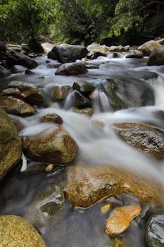 Water Fall Near Rock during Day Time · Free Stock Photo