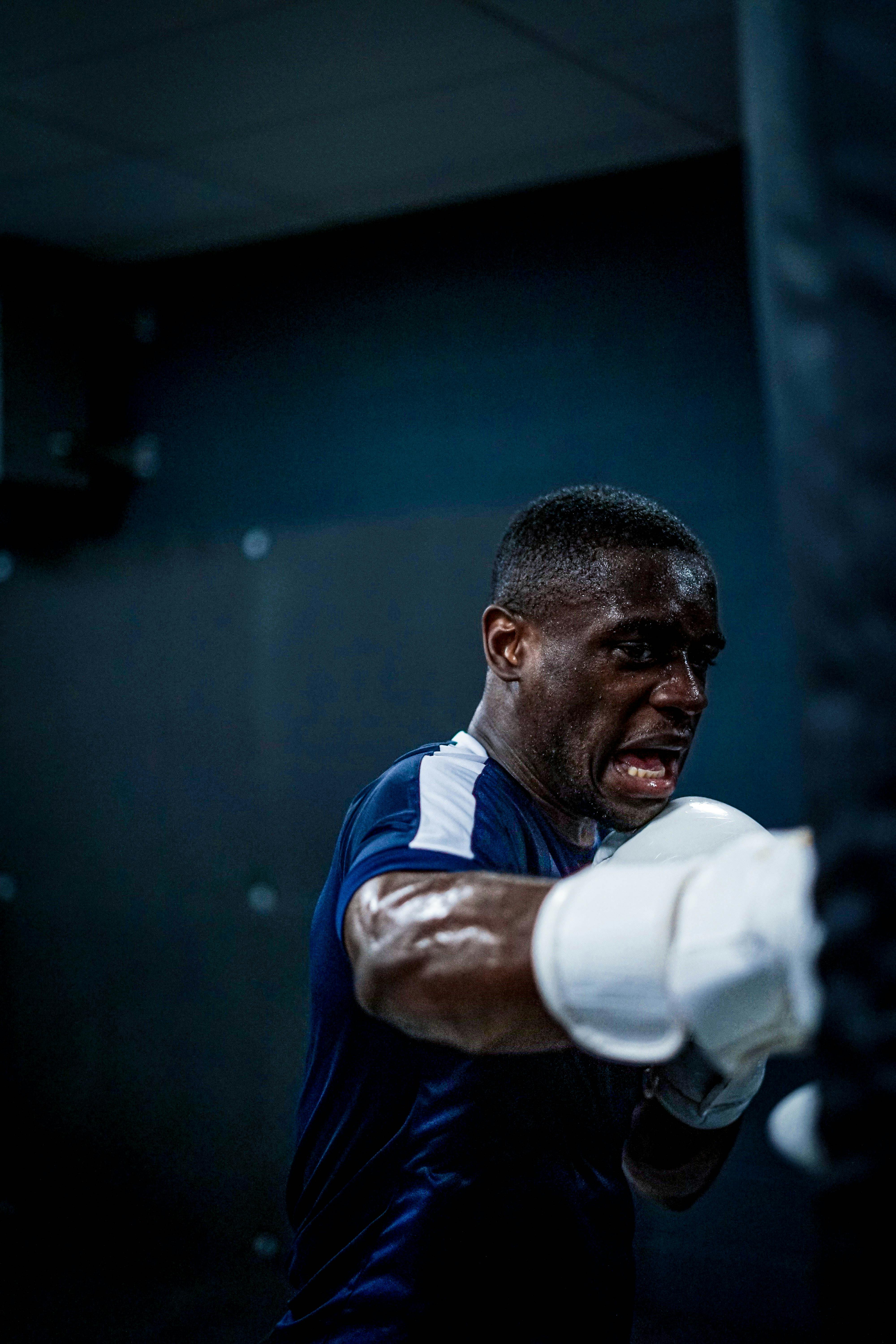 Stay Boxer Photos, Download Free Stay Boxer Stock Photos & HD Images