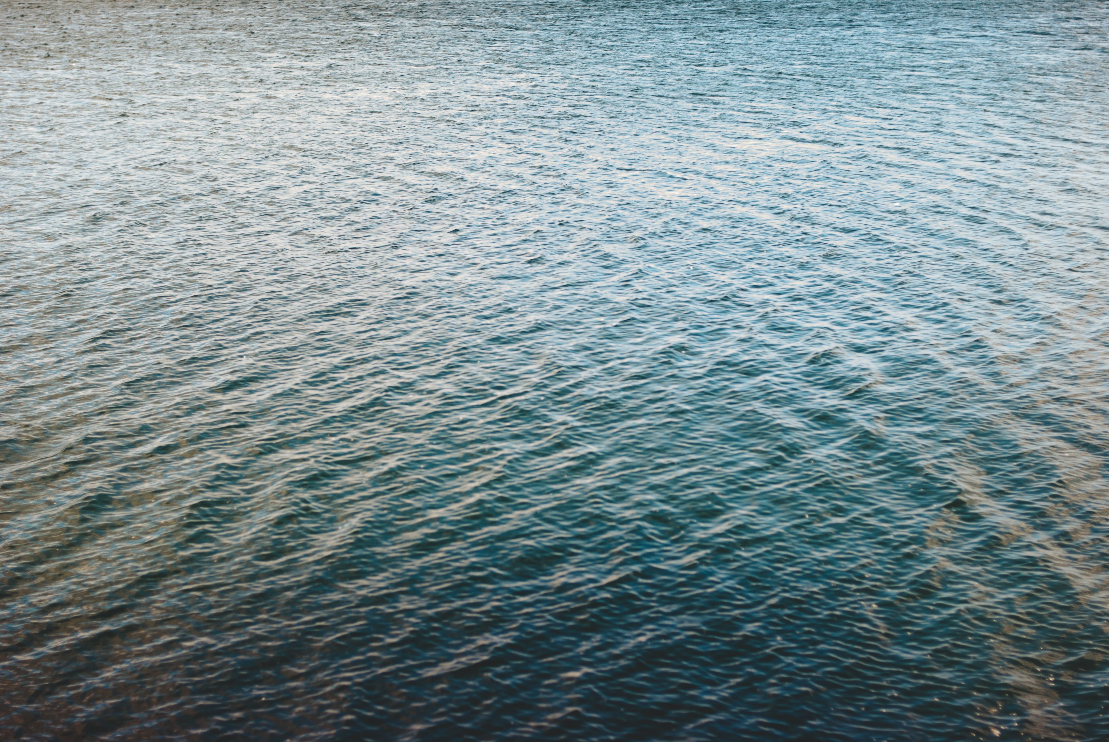 Photo of a Calm Body of Water · Free Stock Photo