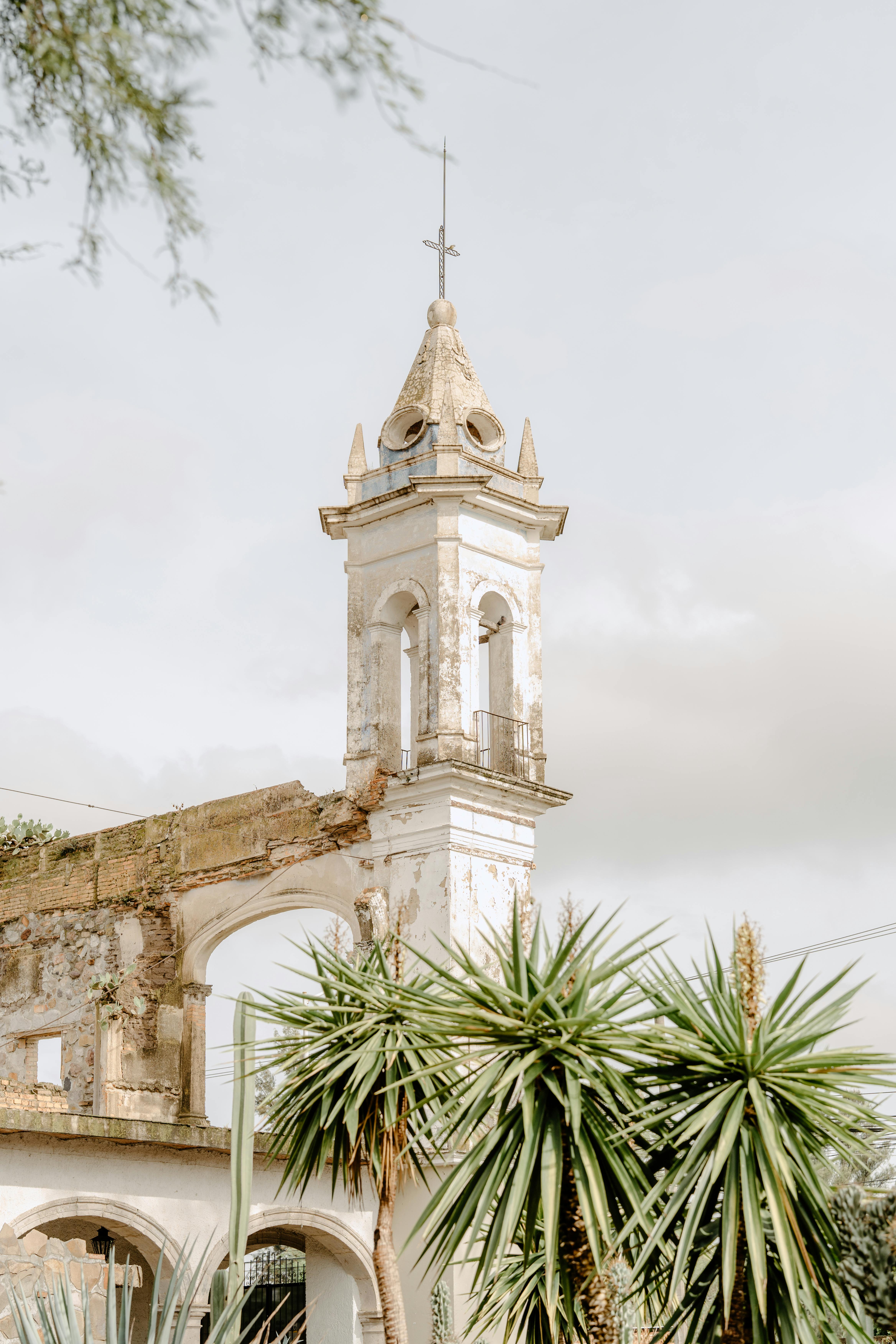 Palm Trees near Church · Free Stock Photo