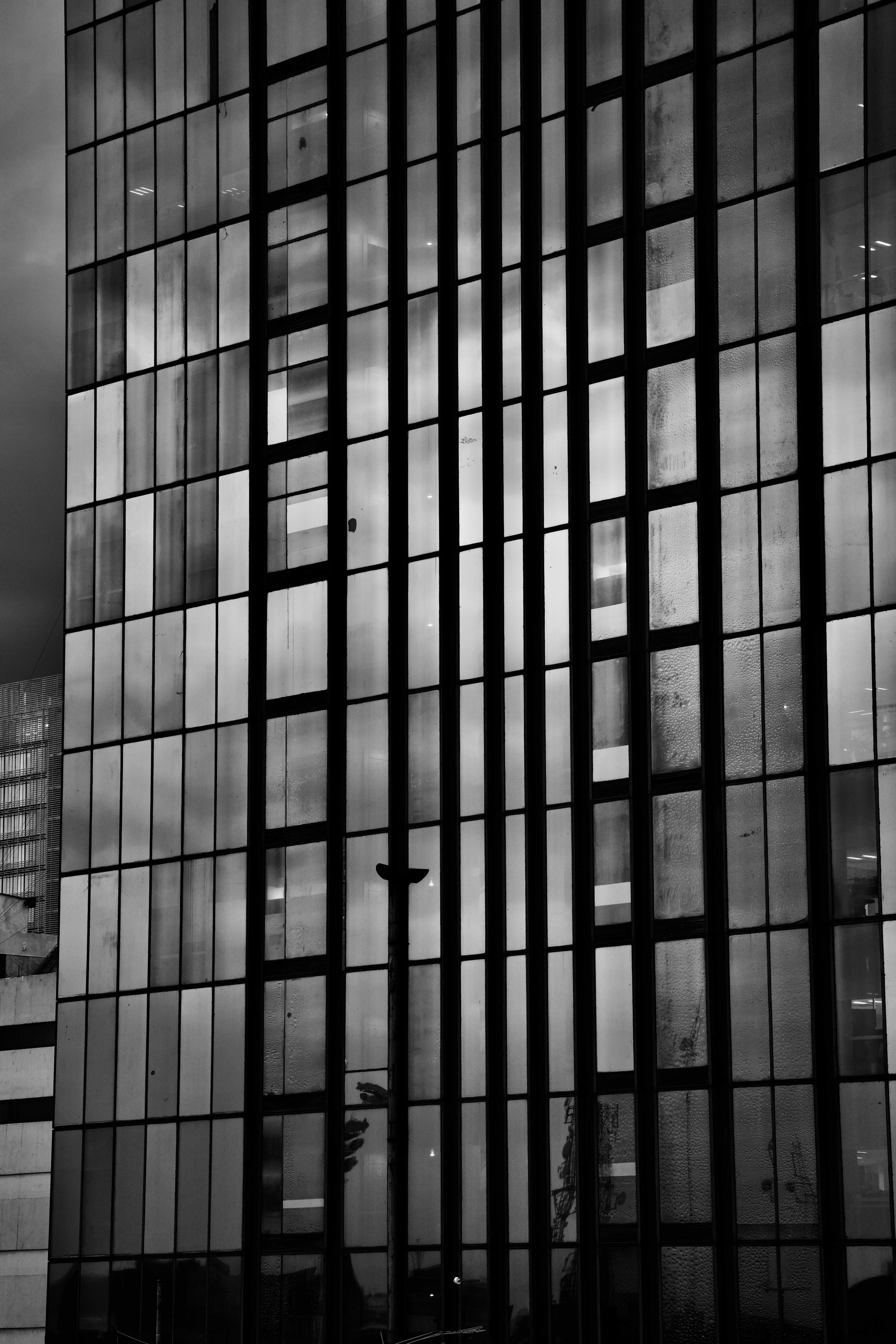 Grayscale Photo of a Glass Building · Free Stock Photo