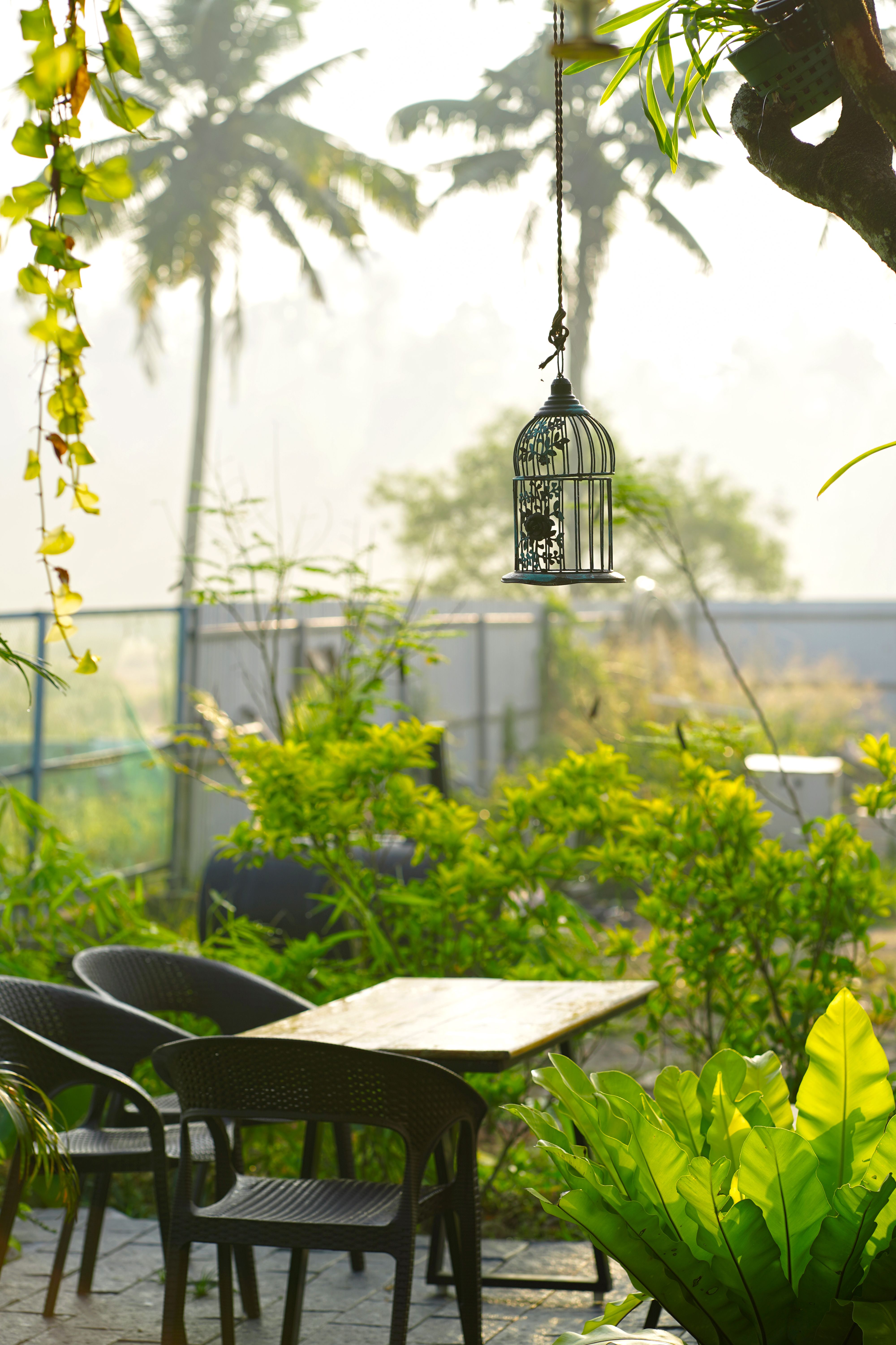 A Hanging Bird Cage Near Wooden Chairs and a Wooden Table · Free Stock ...