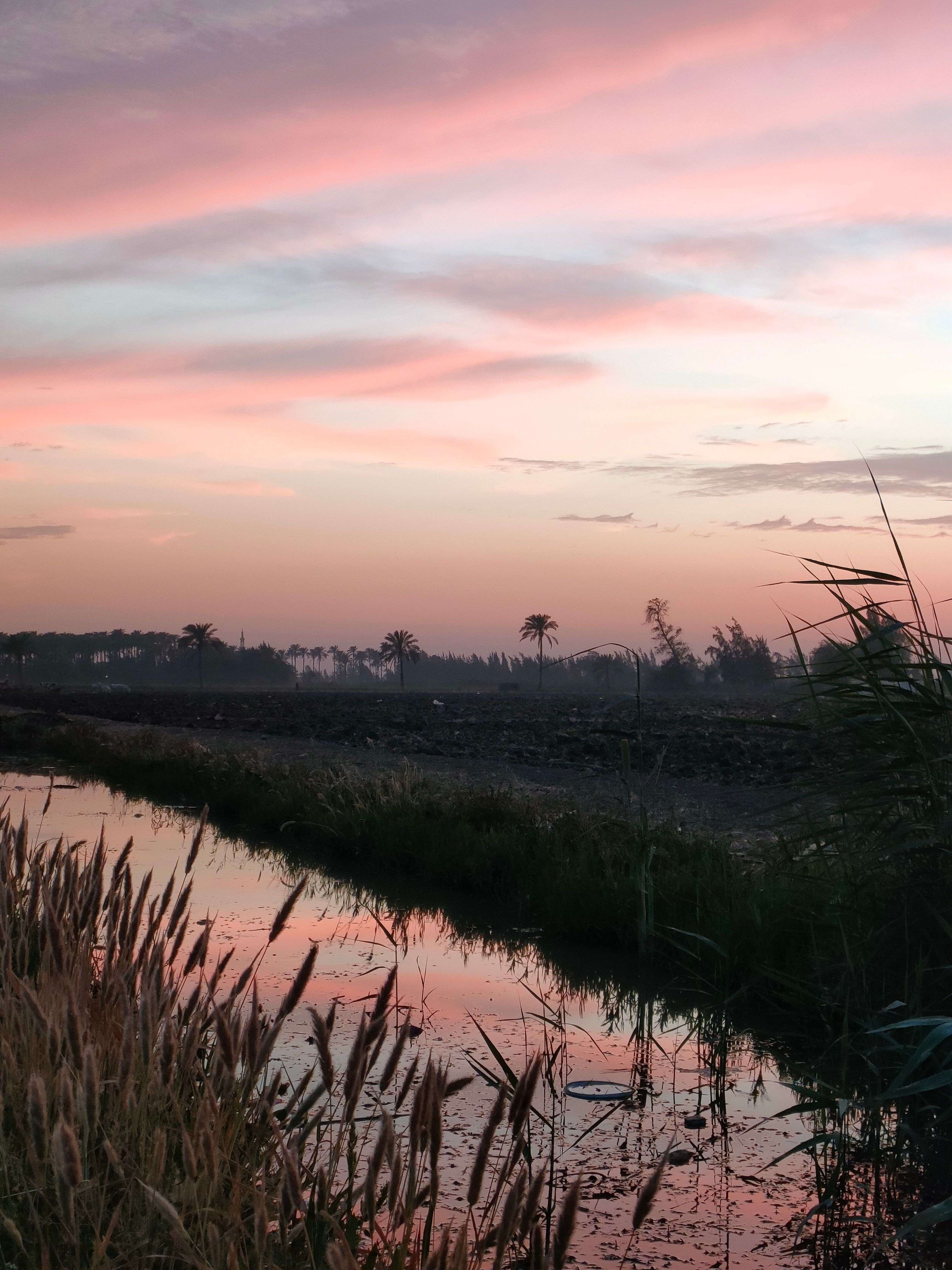 Rural River Landscape with a Fish Weir at Dusk · Free Stock Photo
