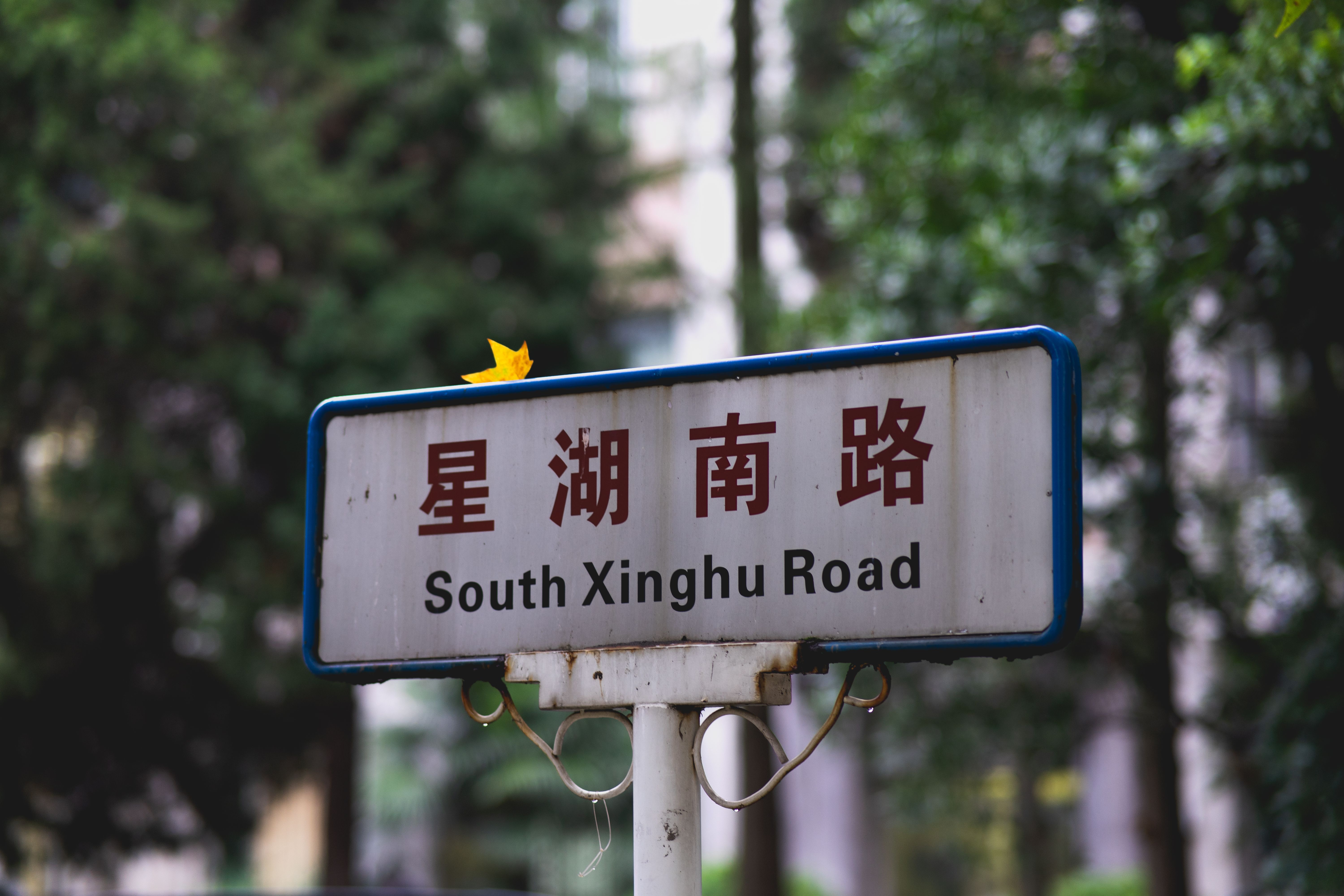 Blue and White Police Station Sign · Free Stock Photo