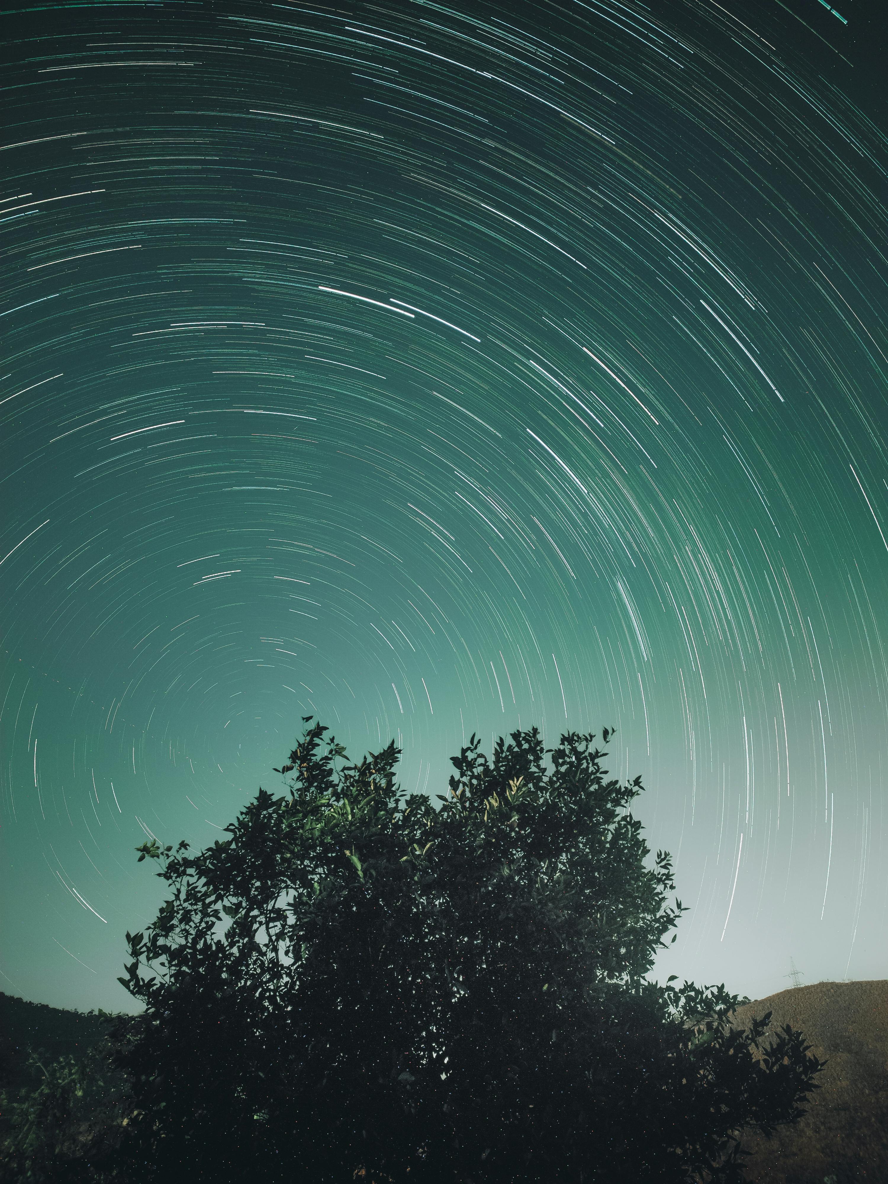 Stars in the Sky · Free Stock Photo