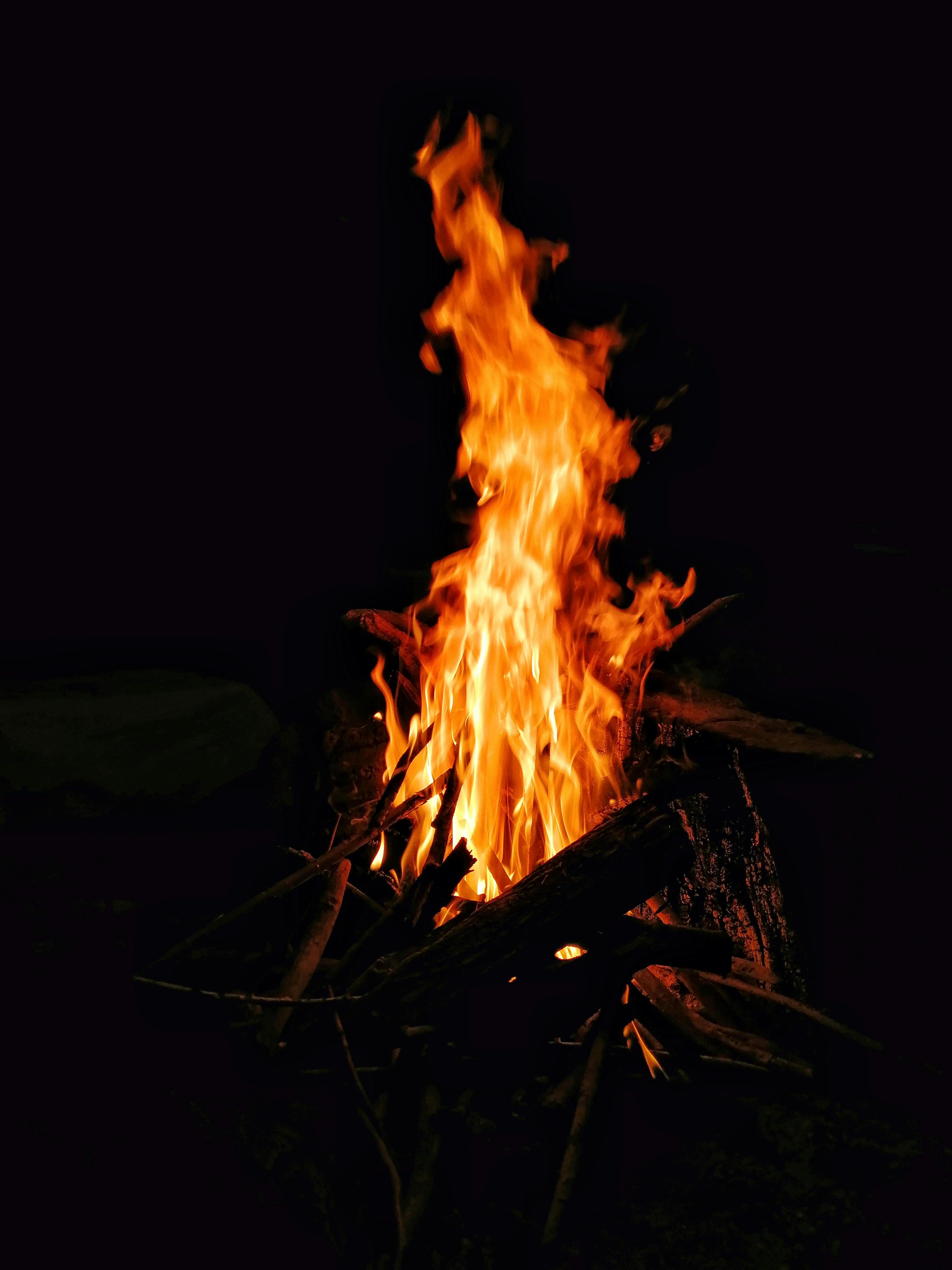 Close-up Photo of a Flaming Fire · Free Stock Photo