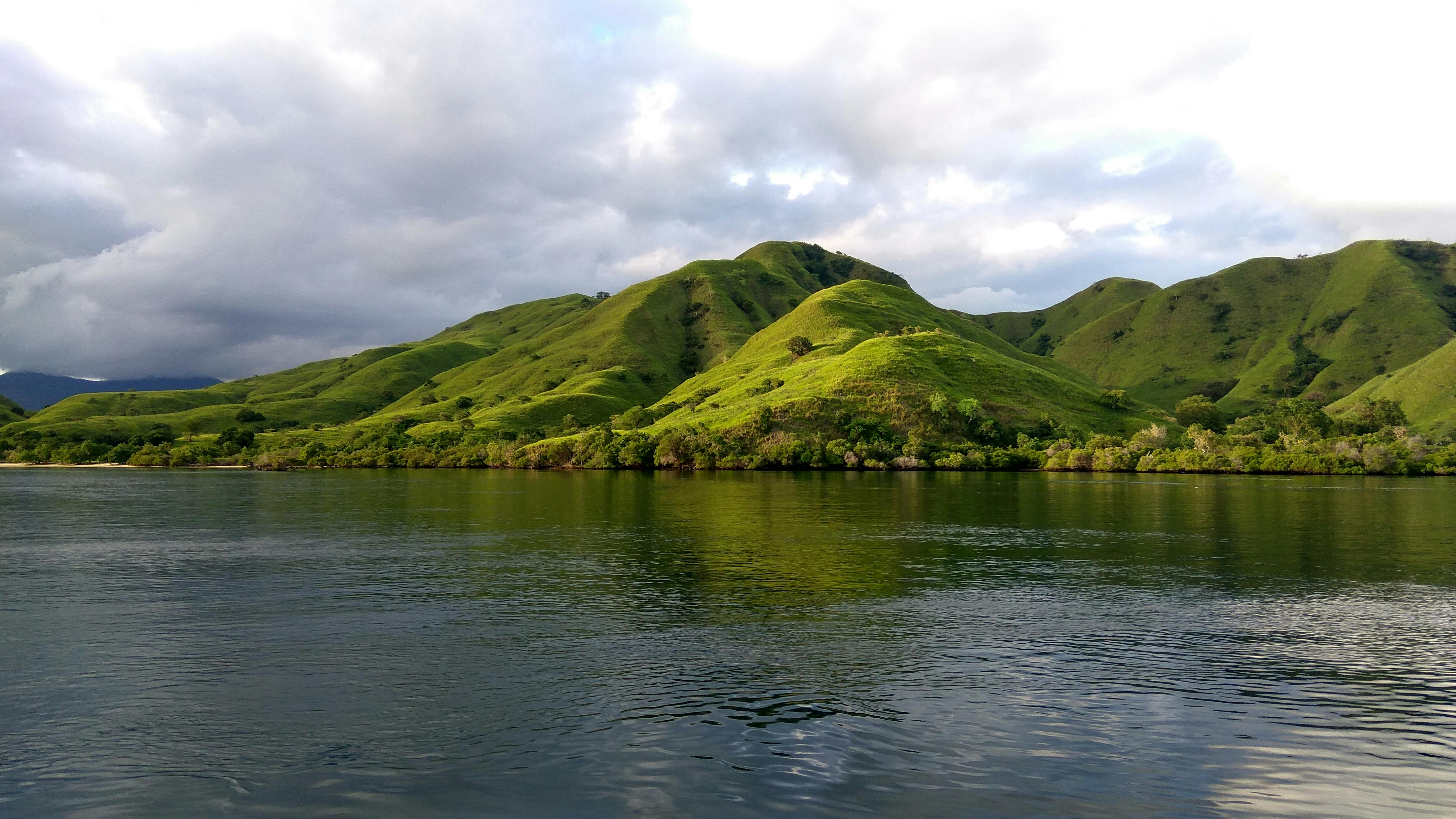 Komodo Island Photos, Download The BEST Free Komodo Island Stock Photos ...