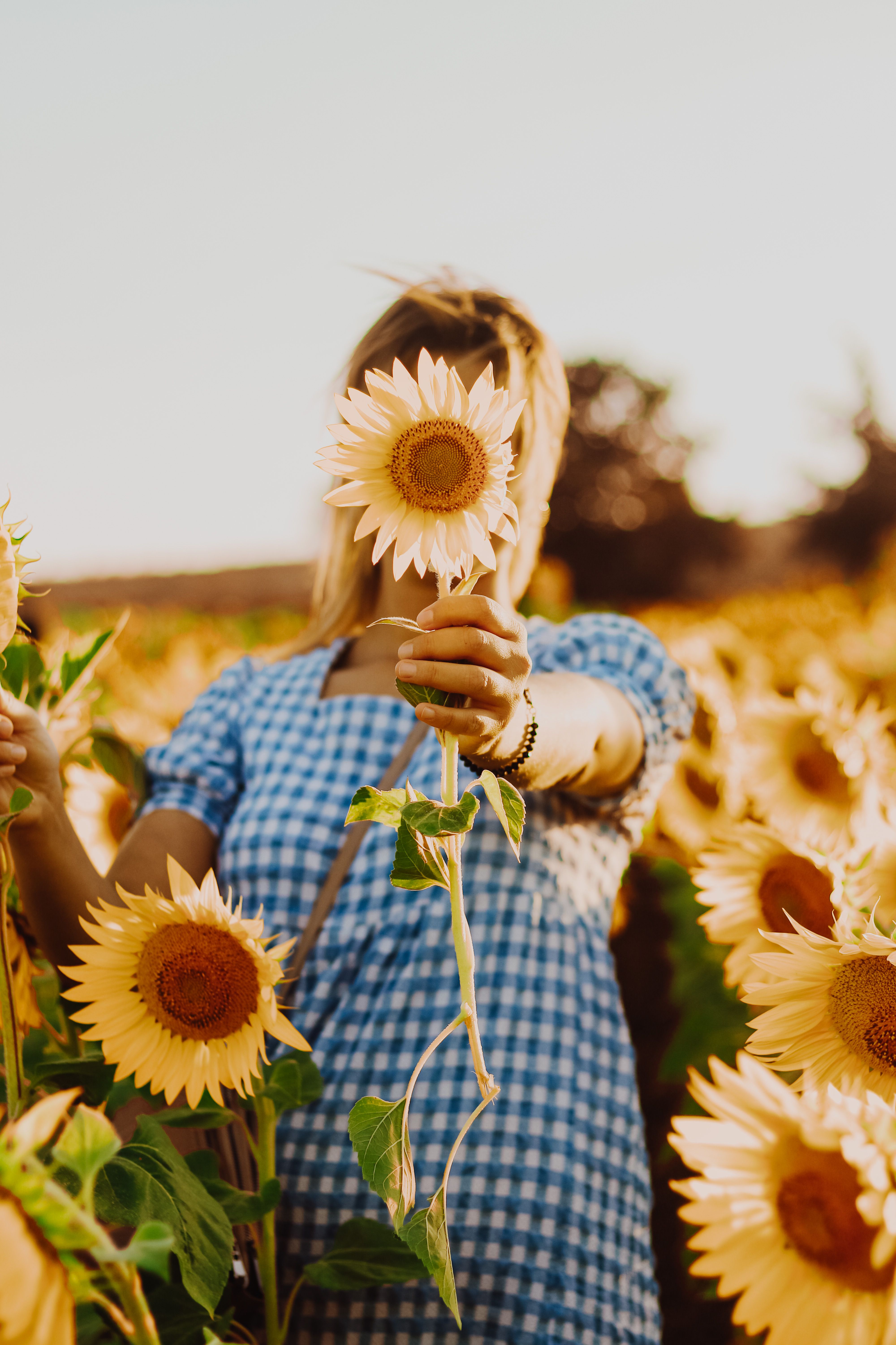 Woman Running Through a Field with Flowers · Free Stock Photo
