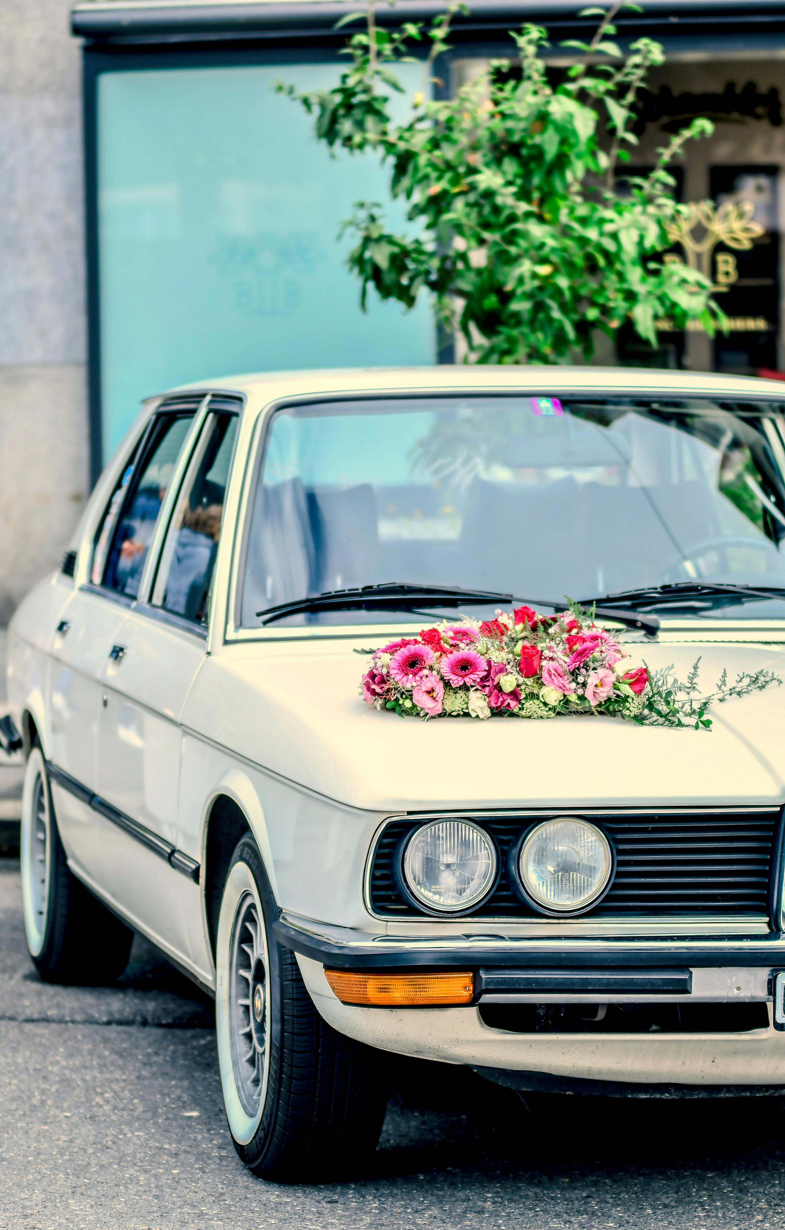 Flowers on the Hood of a Car · Free Stock Photo