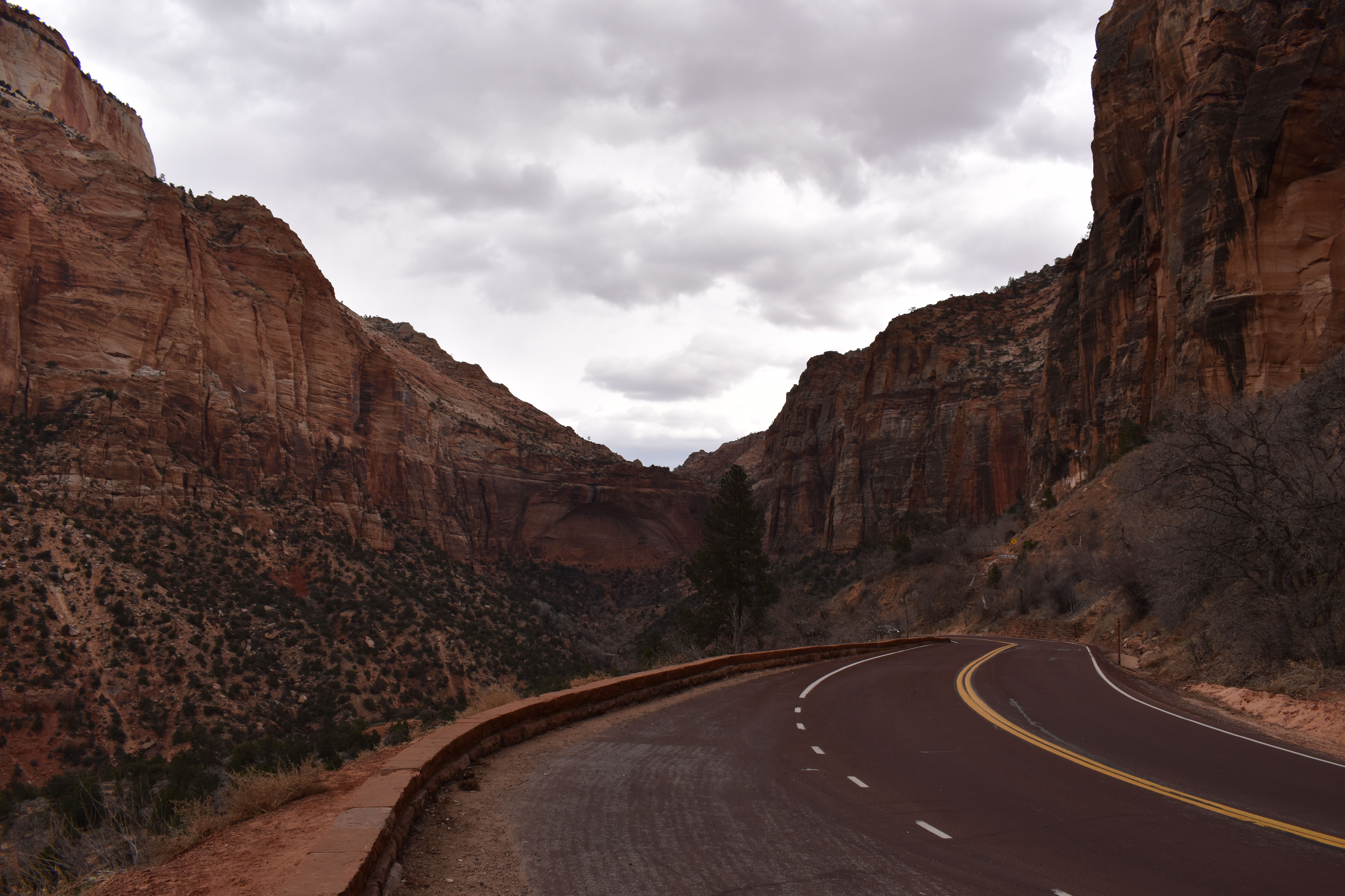 Zion National Park, UT 2 Photos & Videos Collected by Lydia Vogt