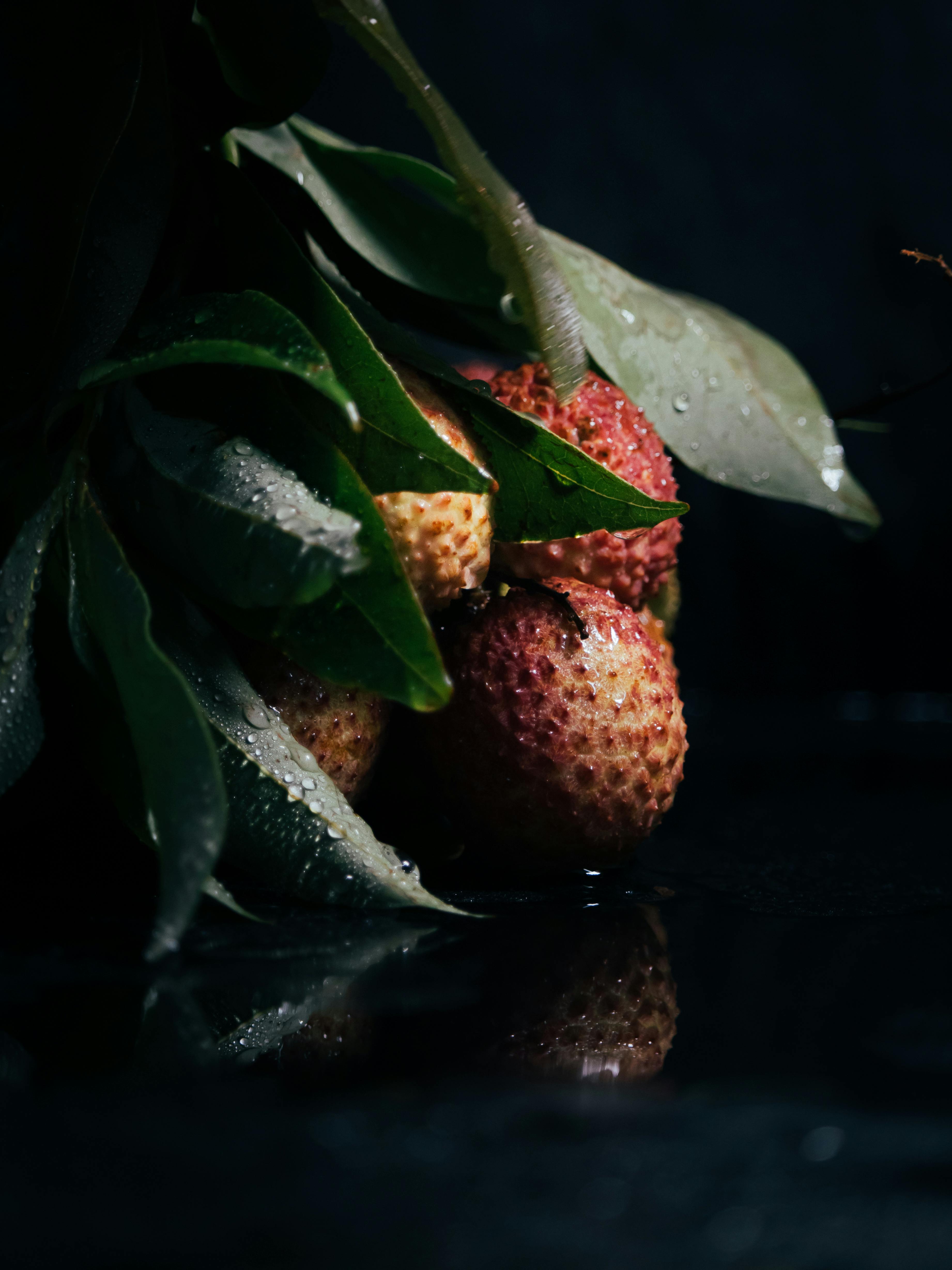 Red Round Fruit · Free Stock Photo