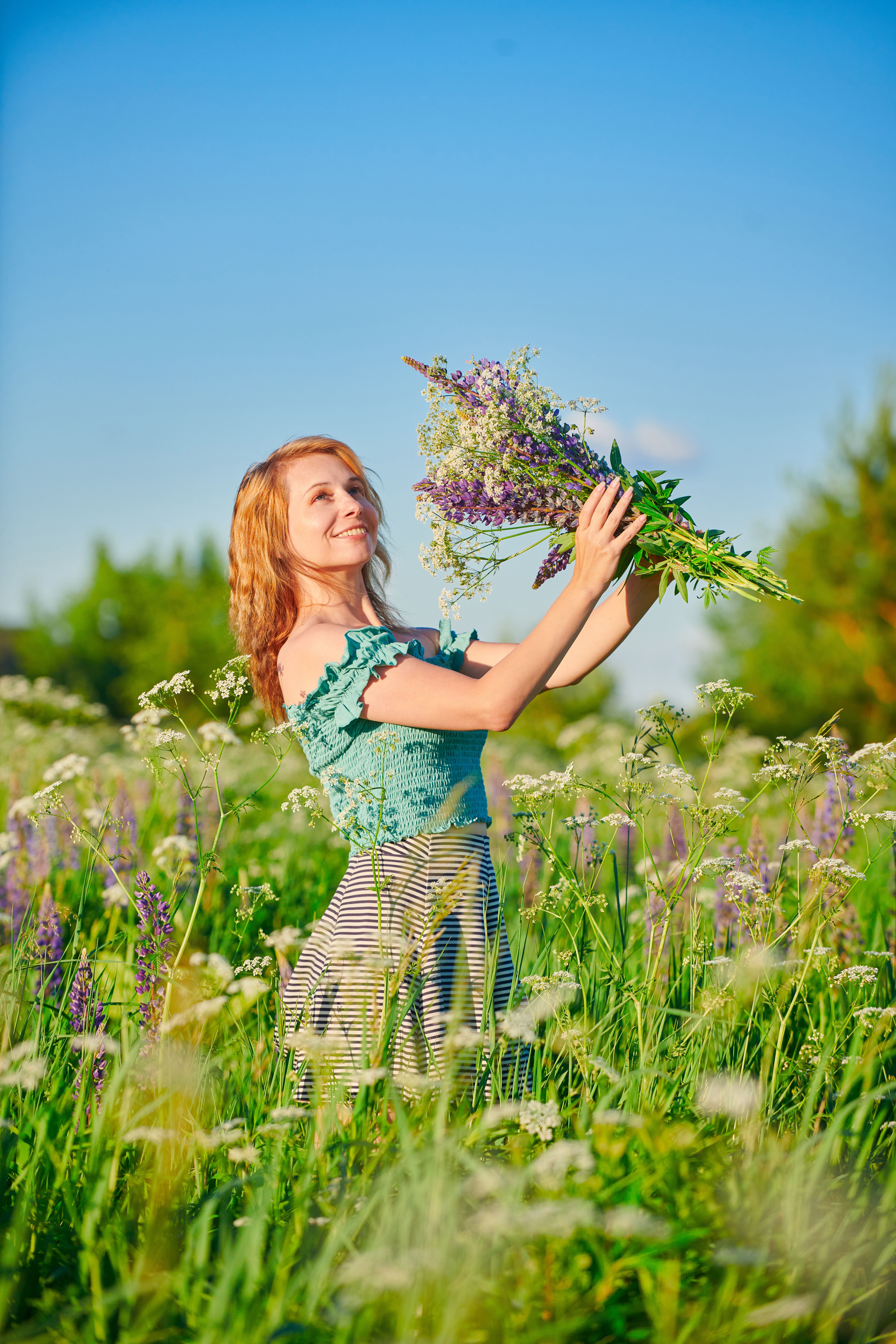 A Woman Picking Fresh Flower in the Field · Free Stock Photo