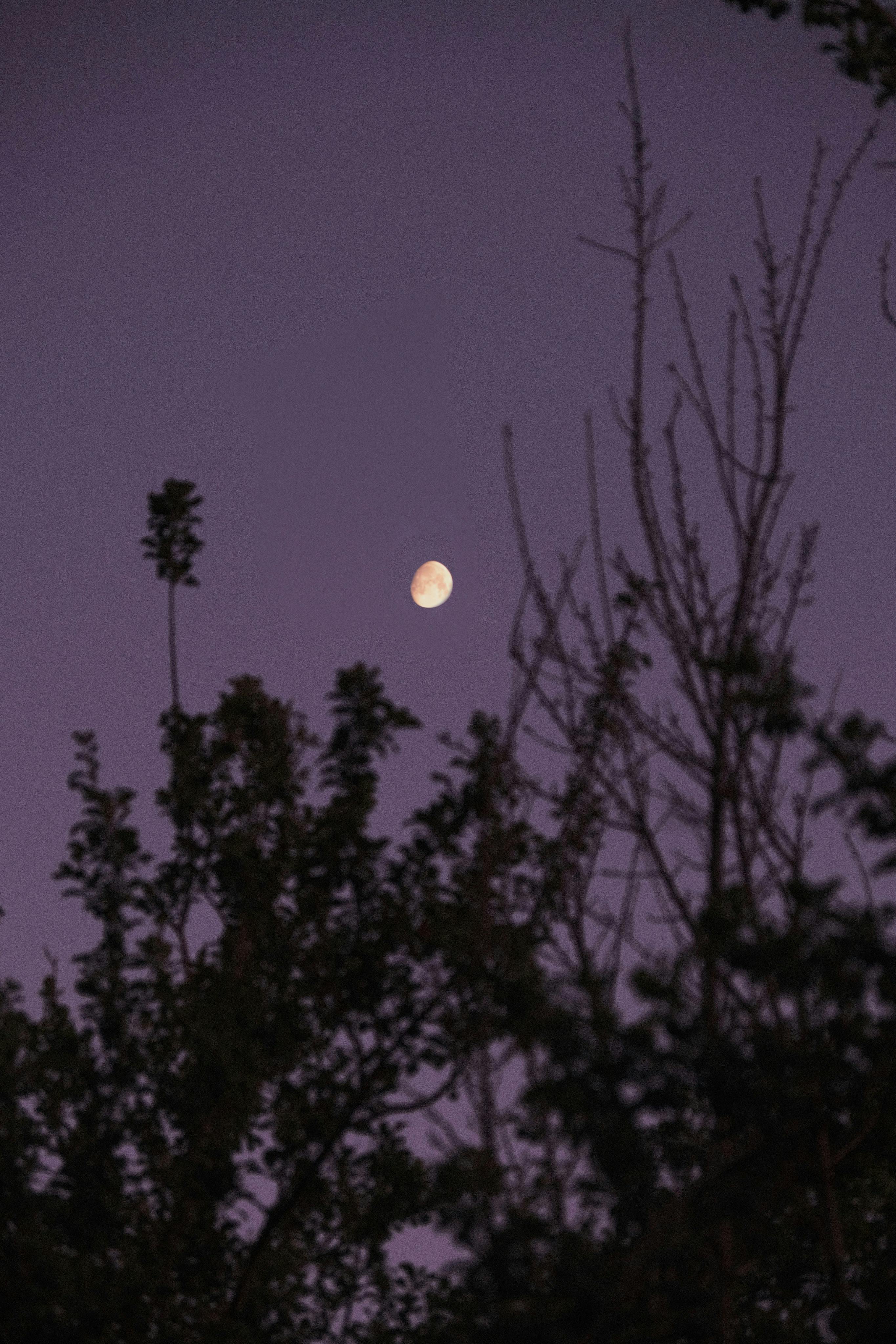 Silhouette of Woman Touching Moon · Free Stock Photo