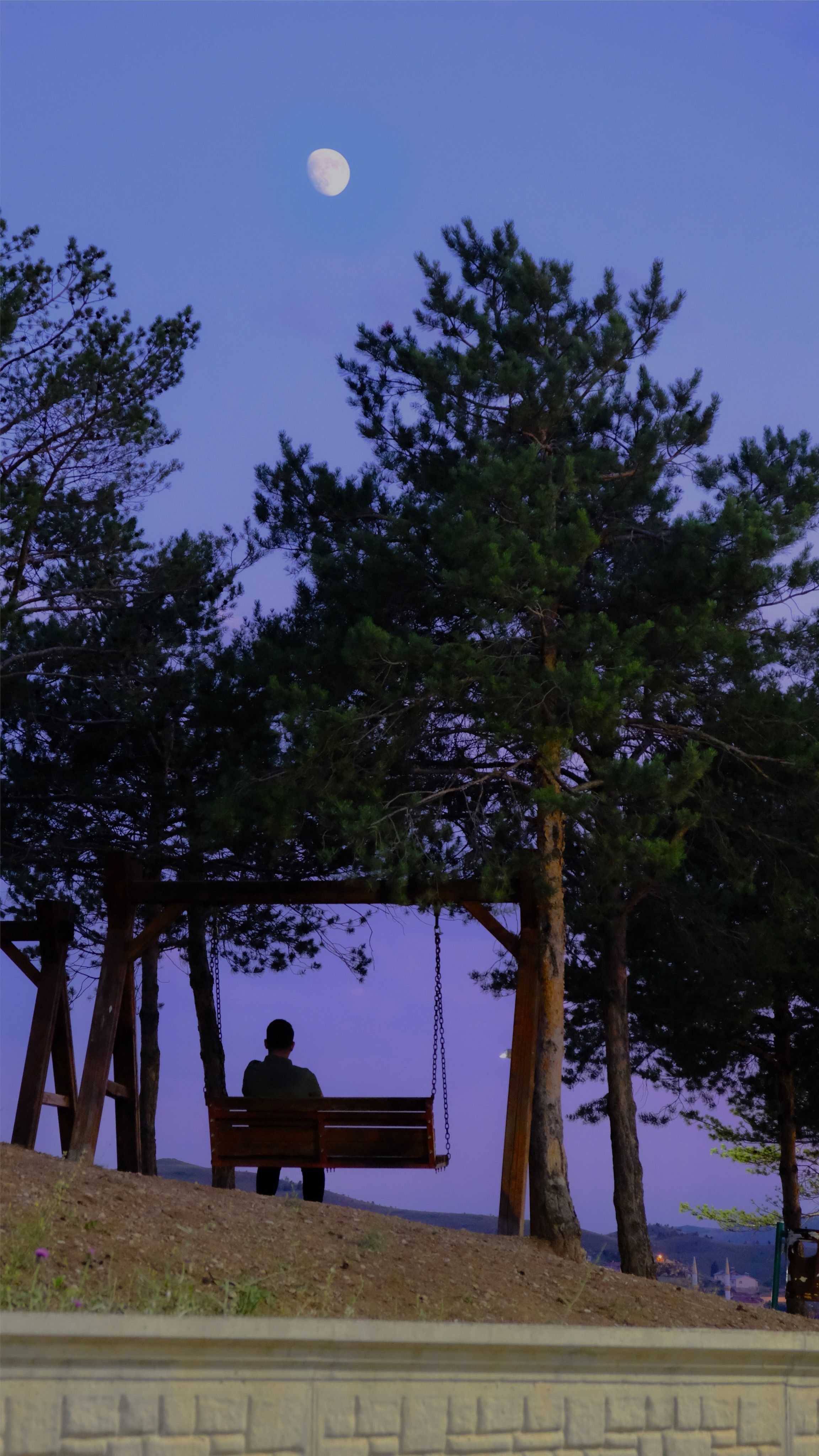 Man Sitting on Swing Chair Under Green Tree · Free Stock Photo
