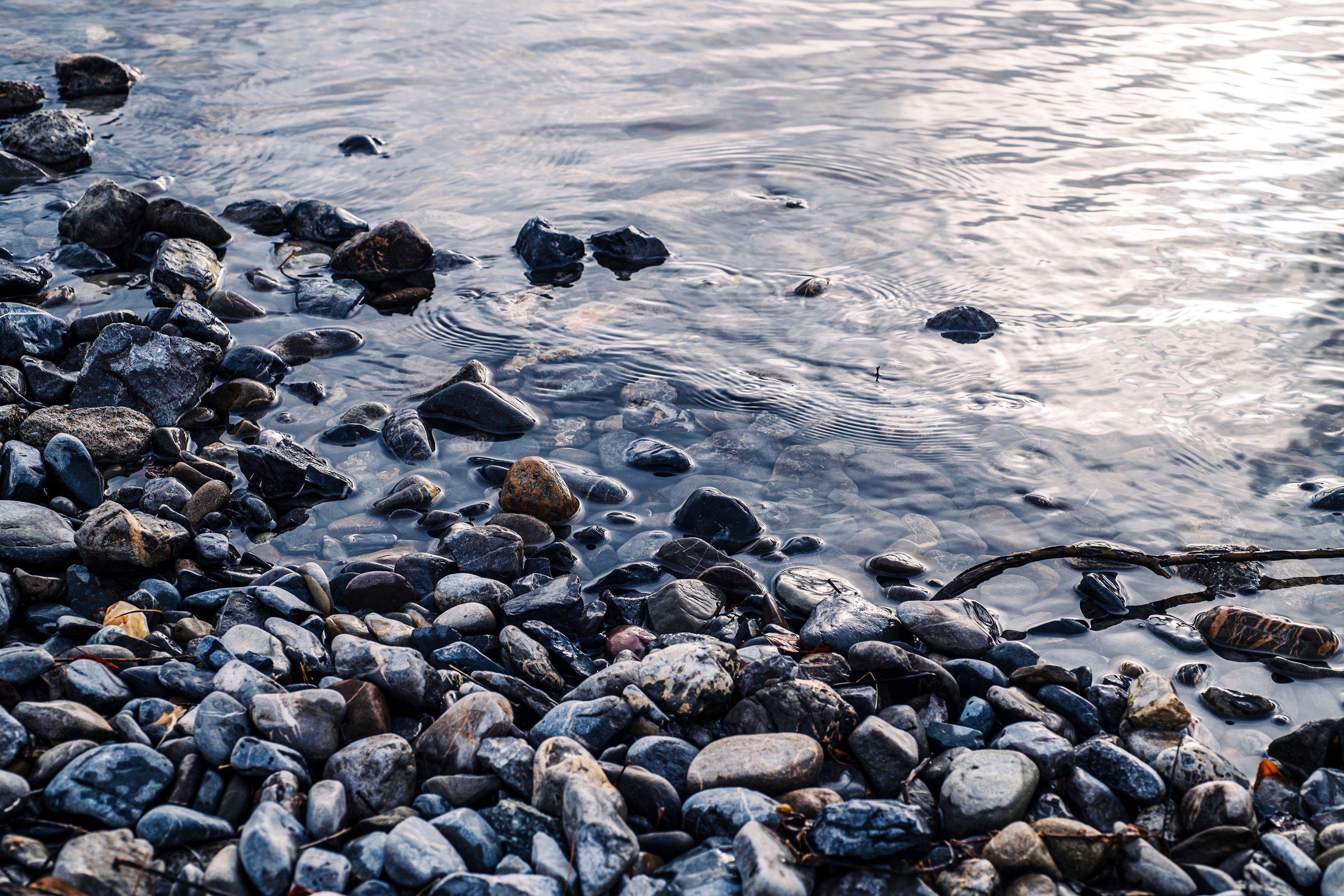 Stone Beach by River · Free Stock Photo