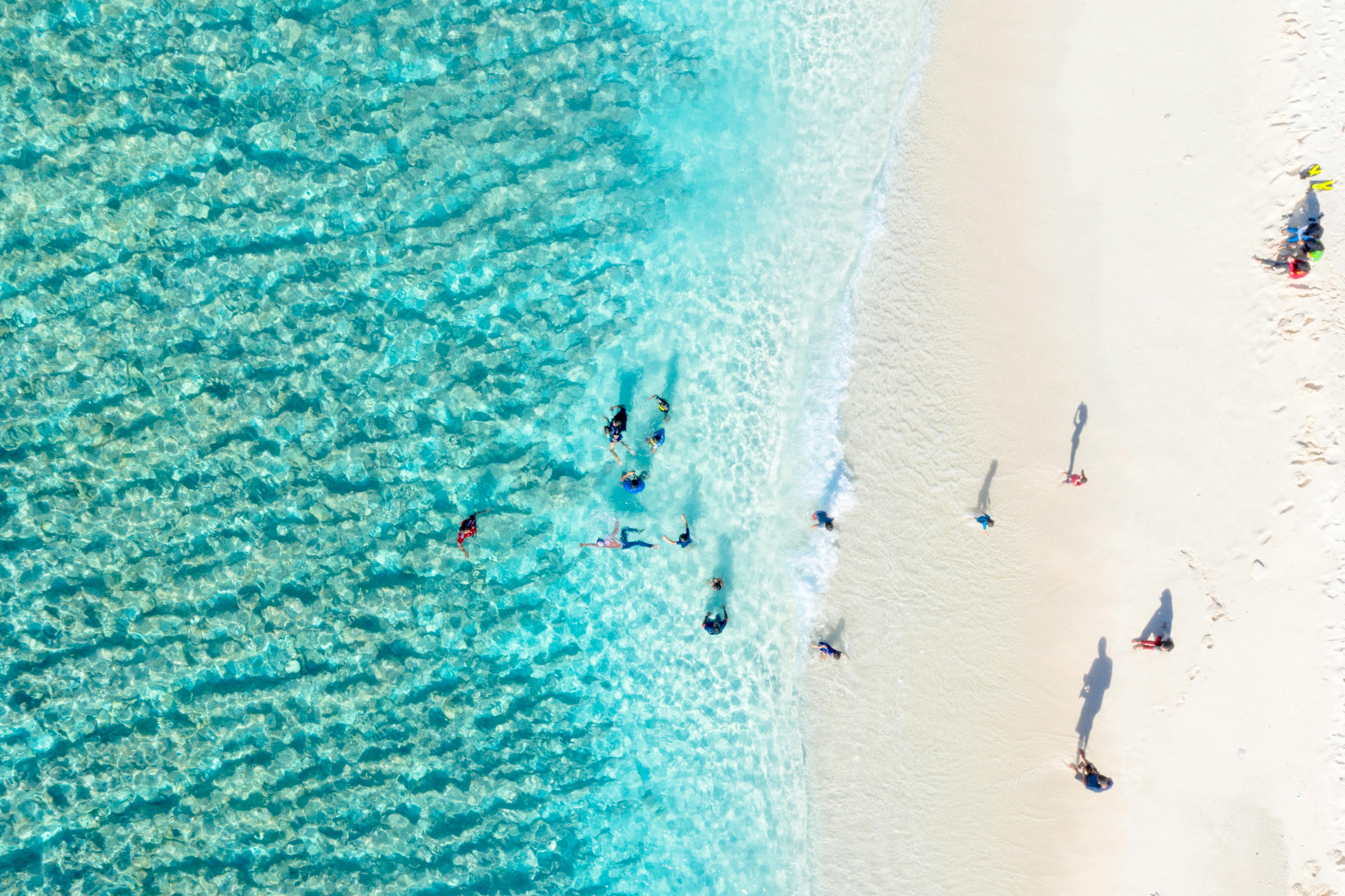 People Swimming on Sea · Free Stock Photo