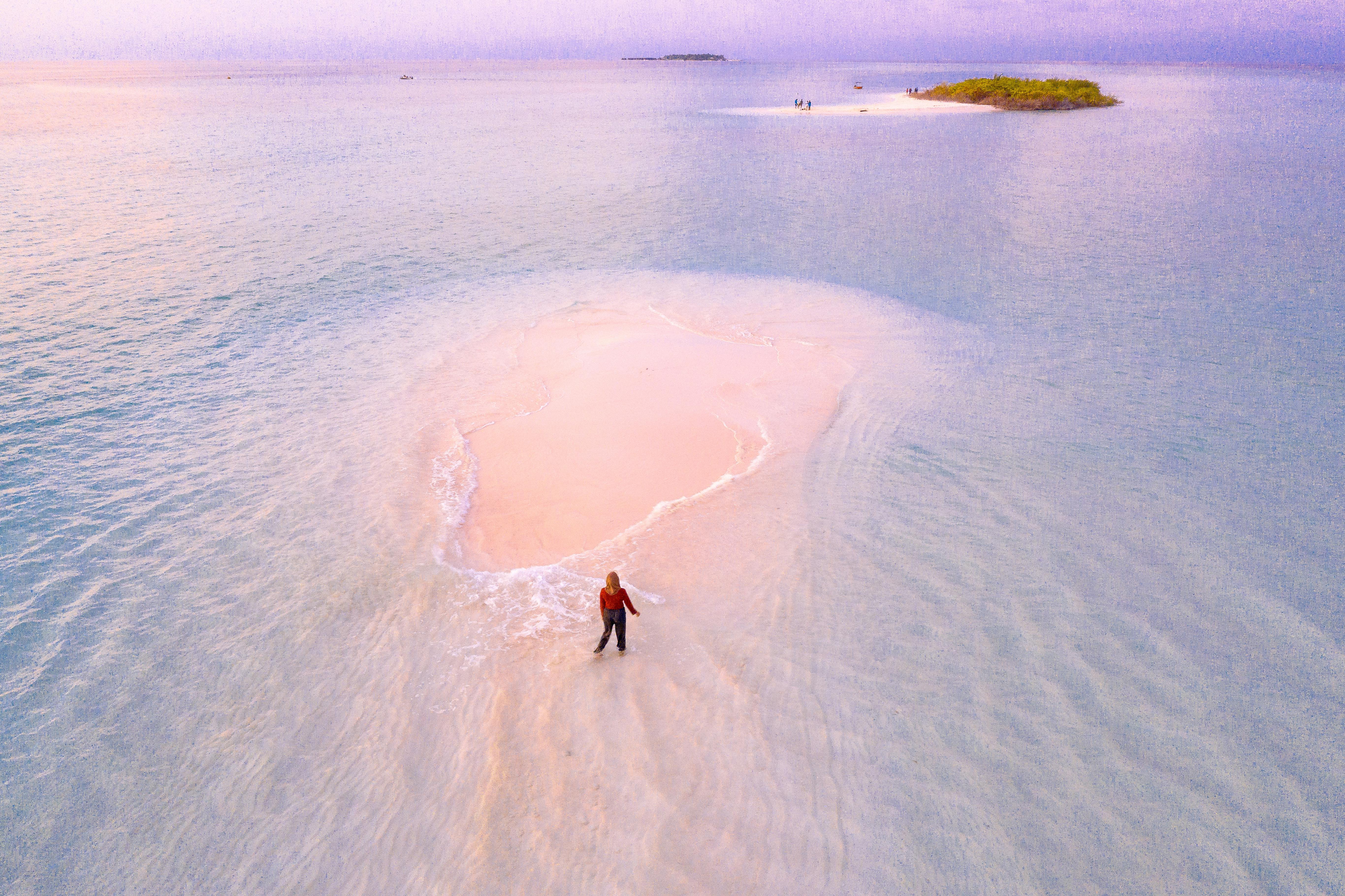 Aerial Photography of a Person Standing on the Sea Shore · Free Stock Photo