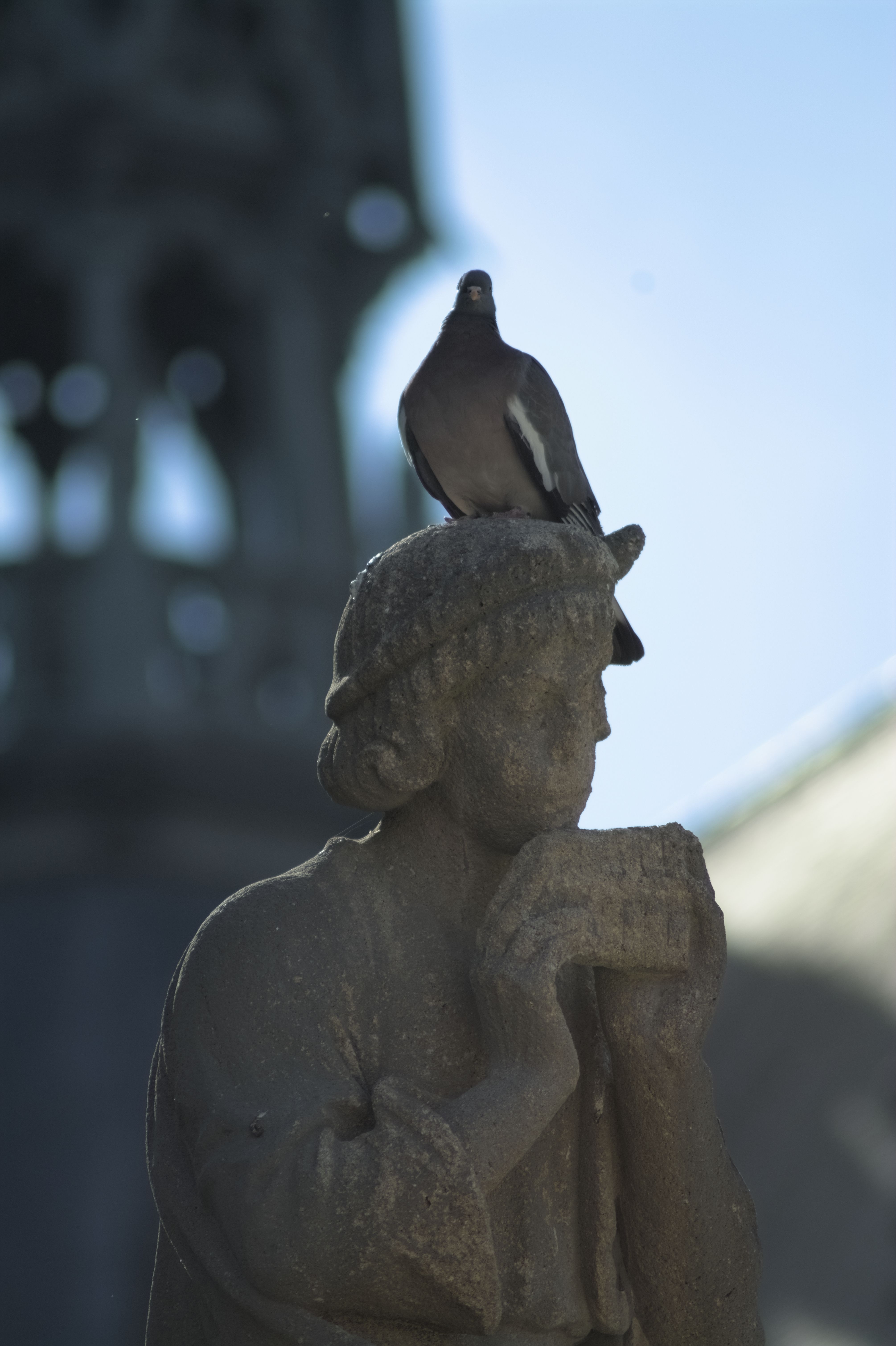 Bird Sculpture Photos, Download The BEST Free Bird Sculpture Stock ...