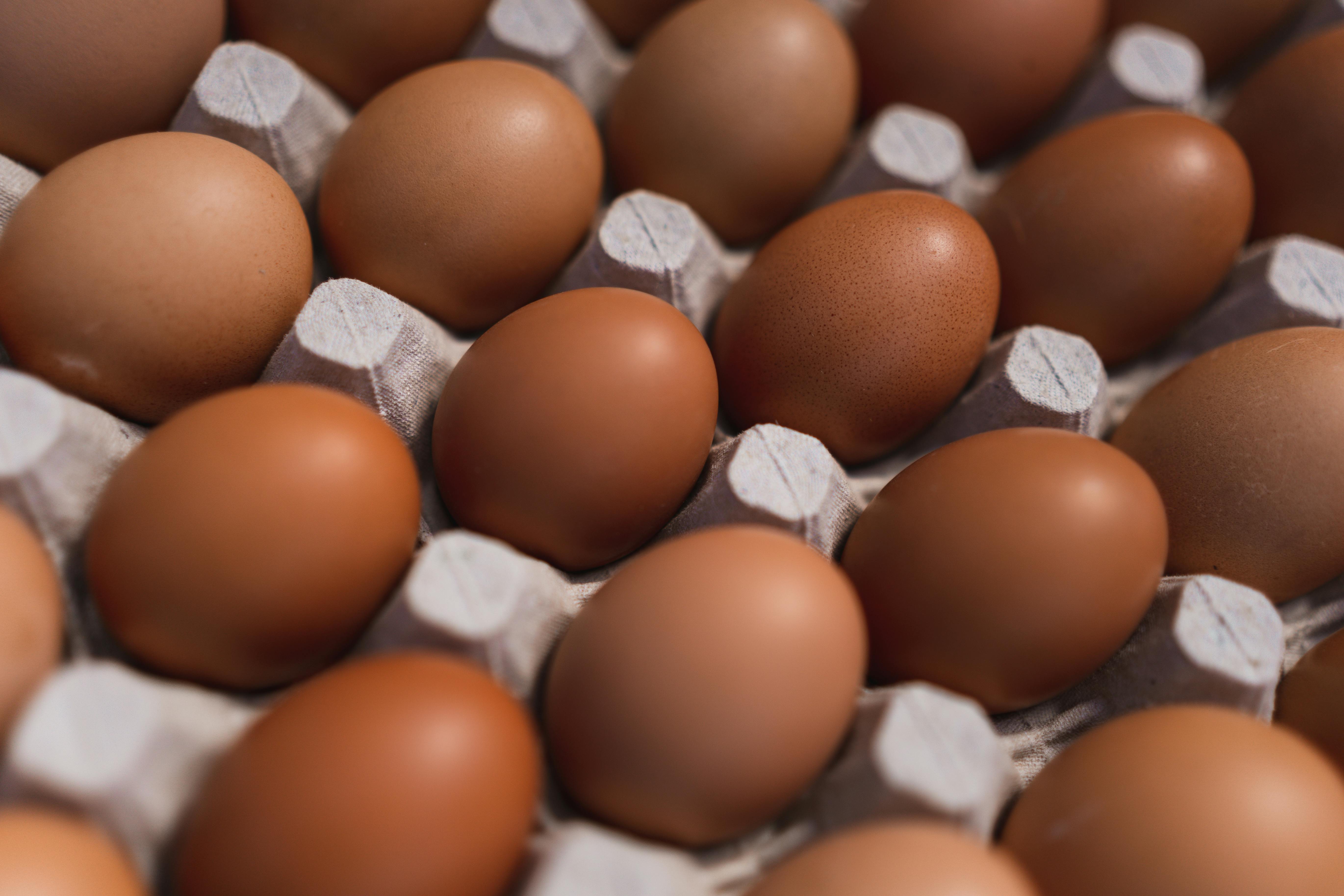 A Stack of Egg Trays · Free Stock Photo
