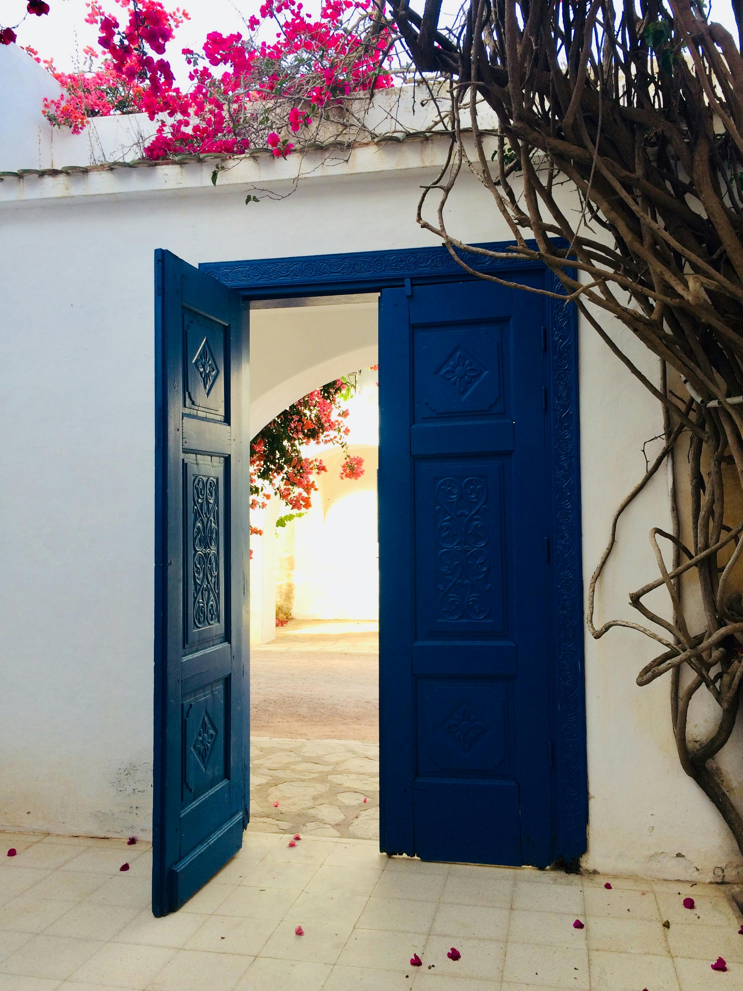 Blue Double Doors Beside Bougainvillea · Free Stock Photo