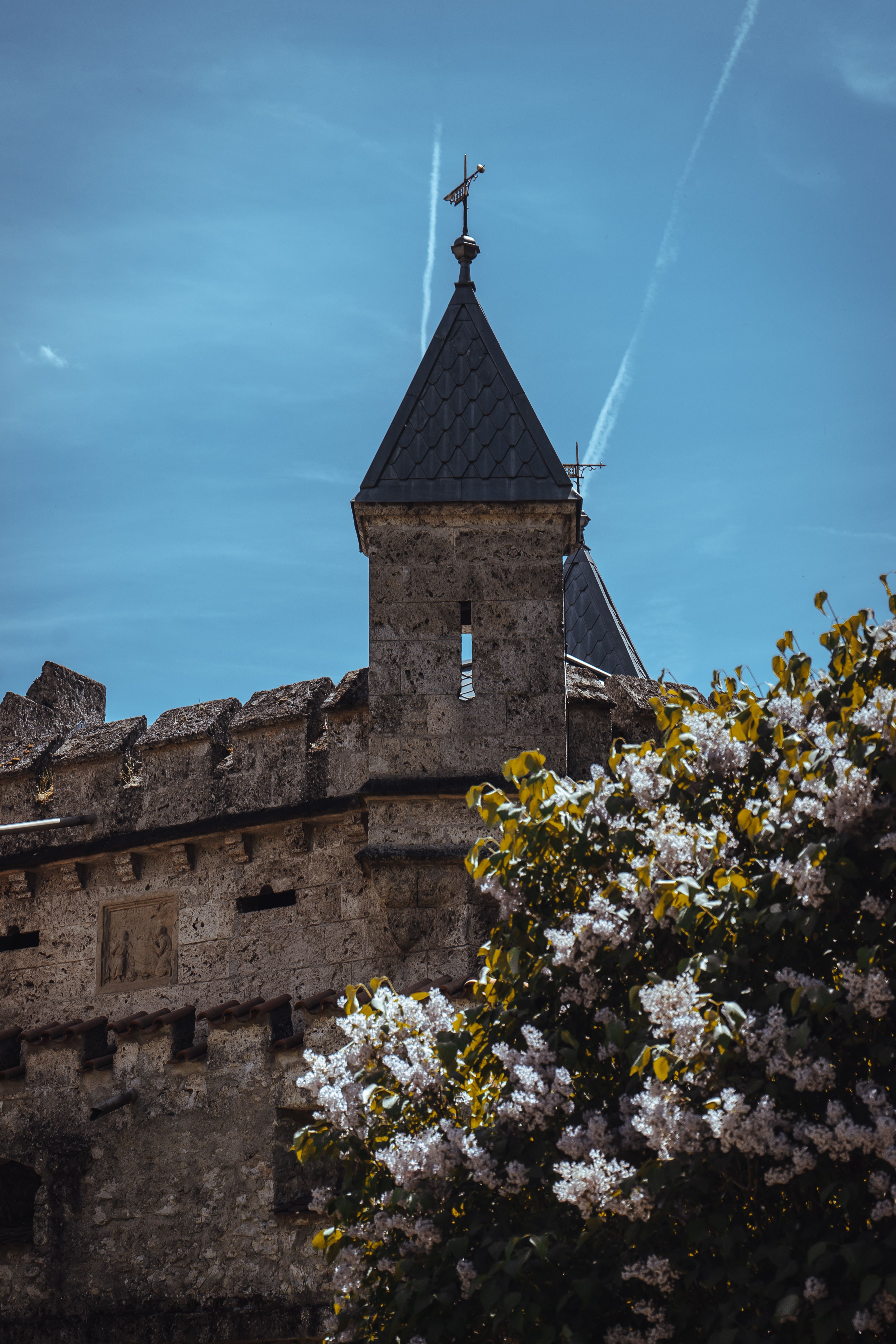 Red Flowers Near a Church Building · Free Stock Photo