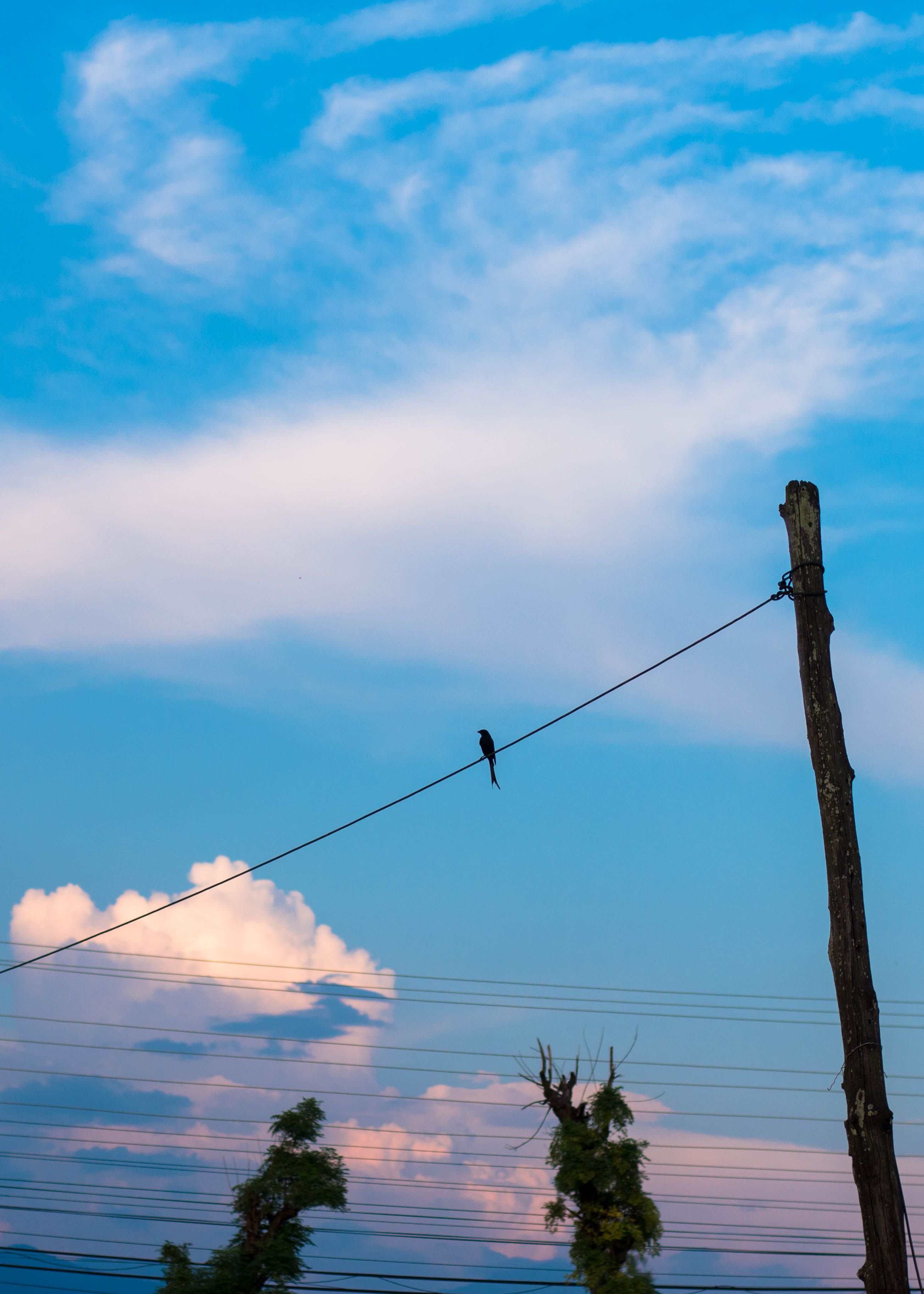 Electrical Wires Connected on Conductors · Free Stock Photo