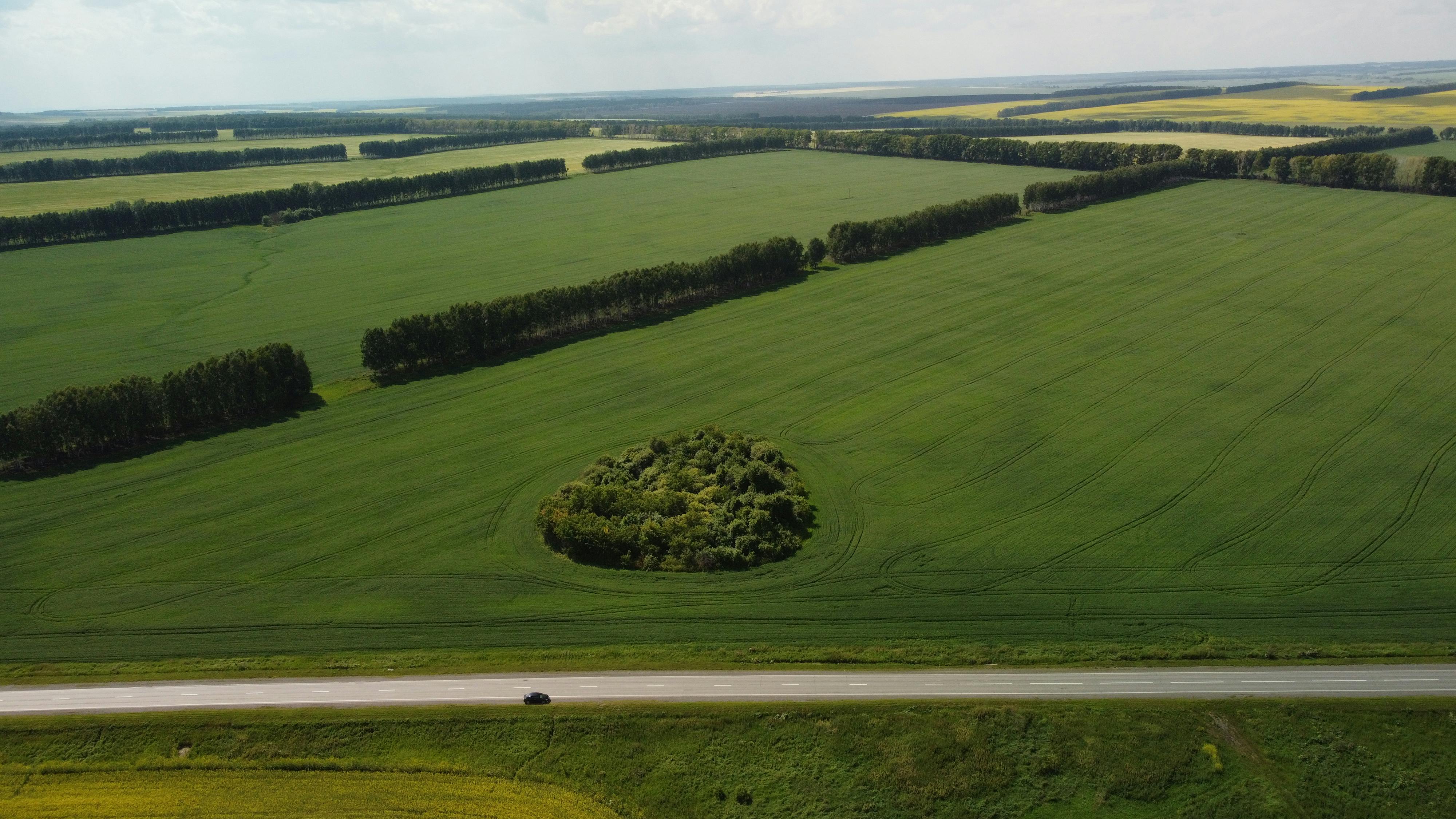Aerial Shot of Green Grass Field · Free Stock Photo