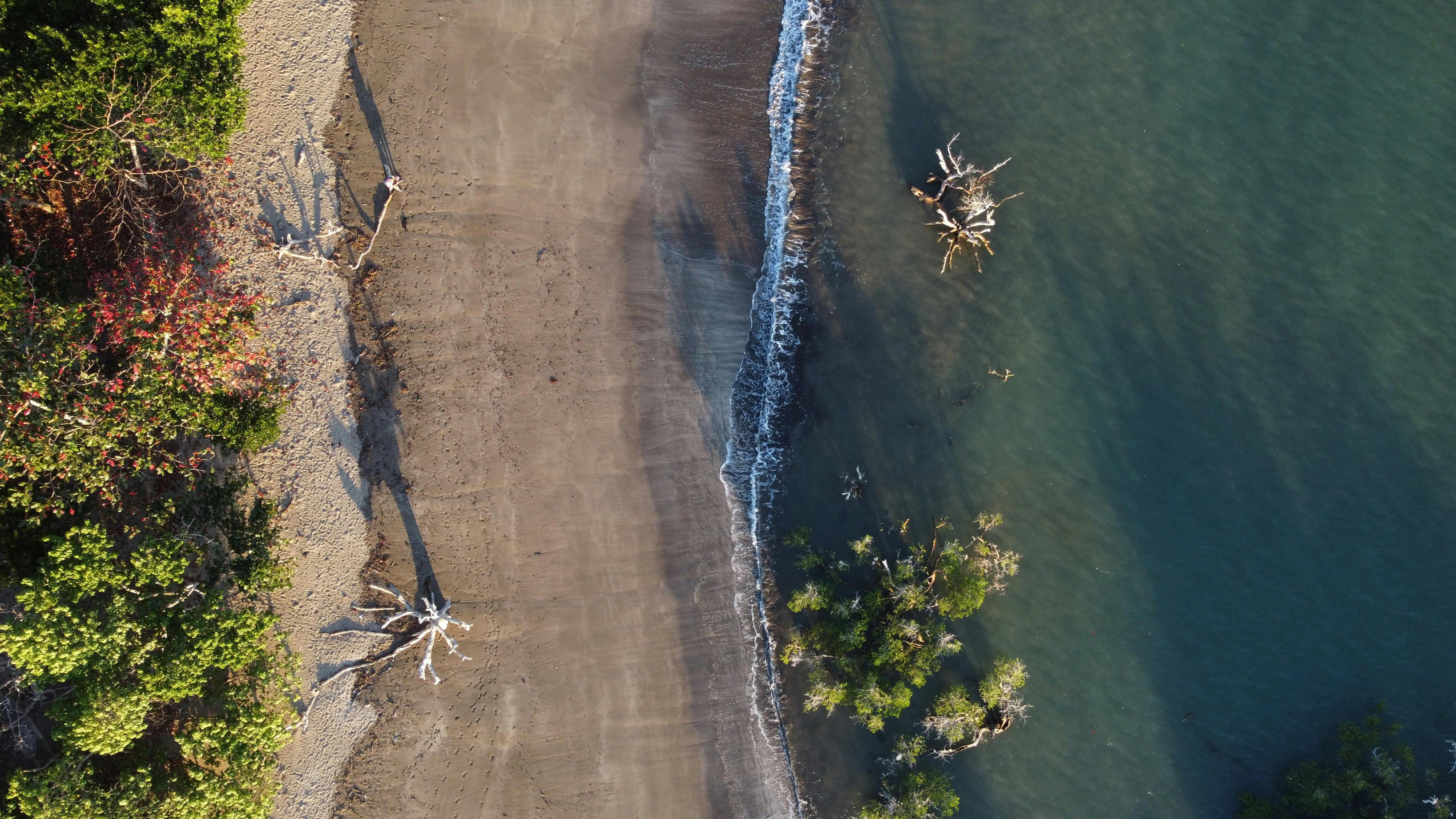 Aerial View of a Beach · Free Stock Photo
