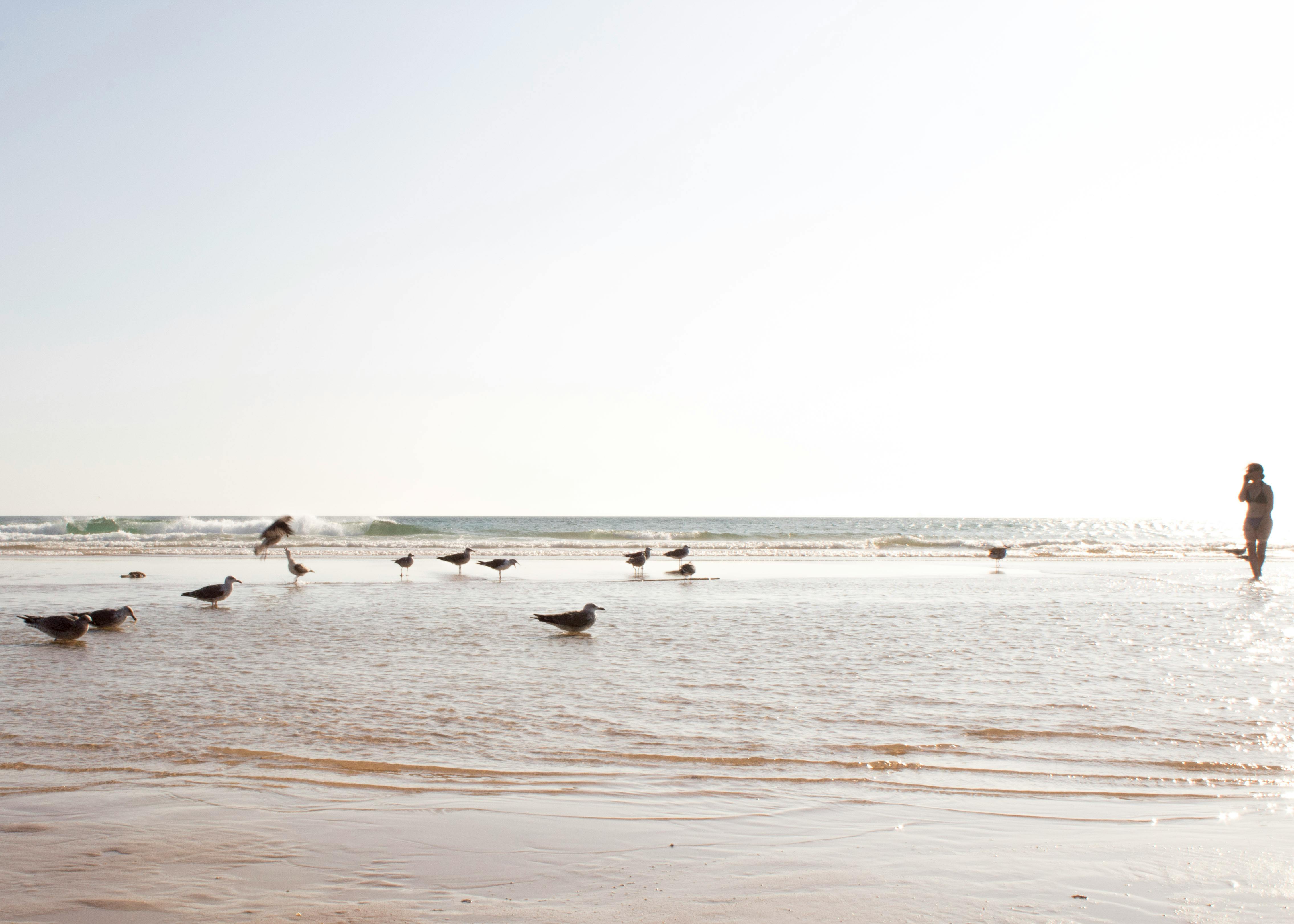 Shallow Photos, Download The BEST Free Shallow Stock Photos & HD Images