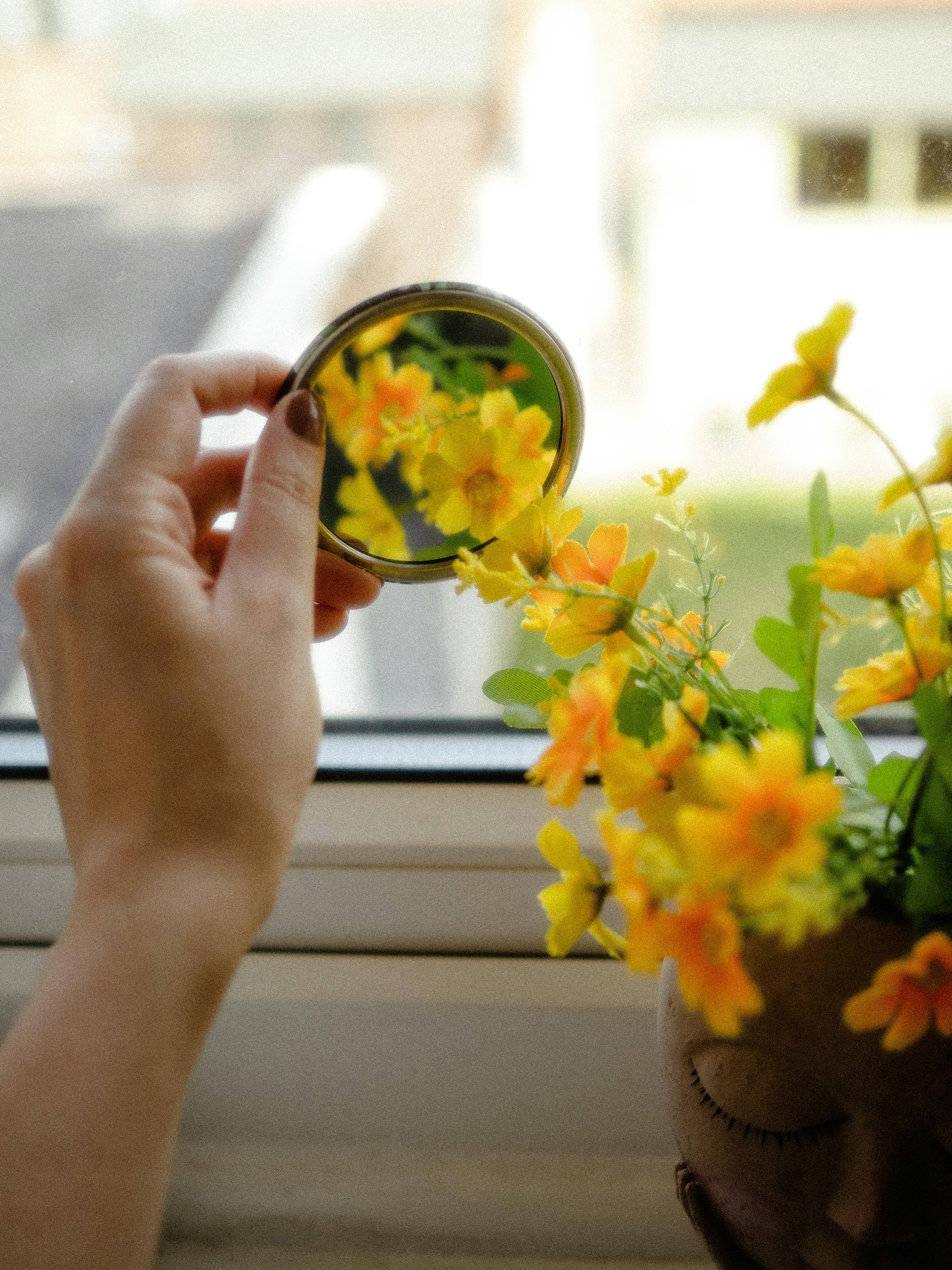White Petaled Flower Reflection From Small Round Mirror · Free Stock Photo