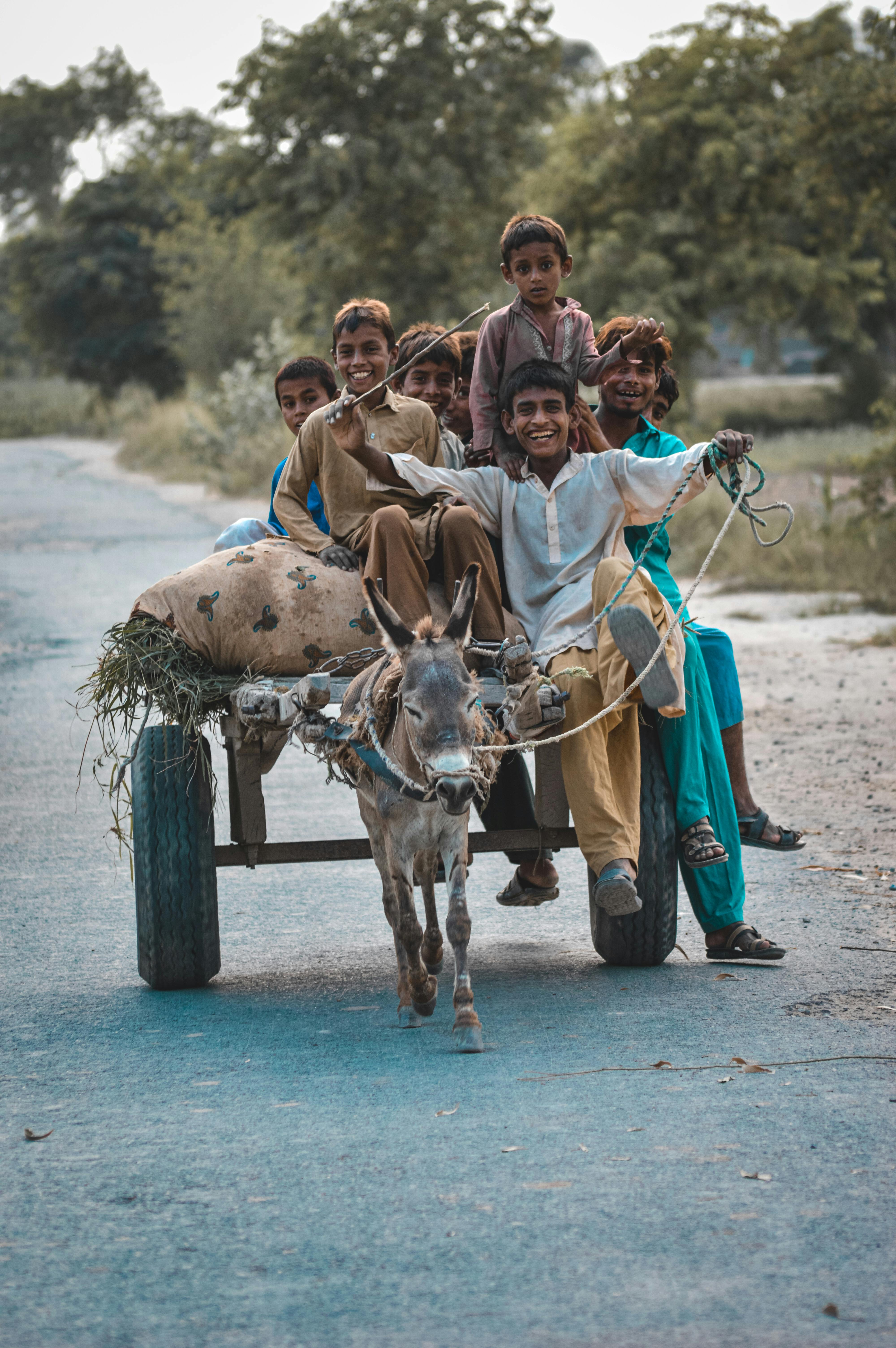 Man Leading a Mule Pulling Fully Loaded Carriage · Free Stock Photo